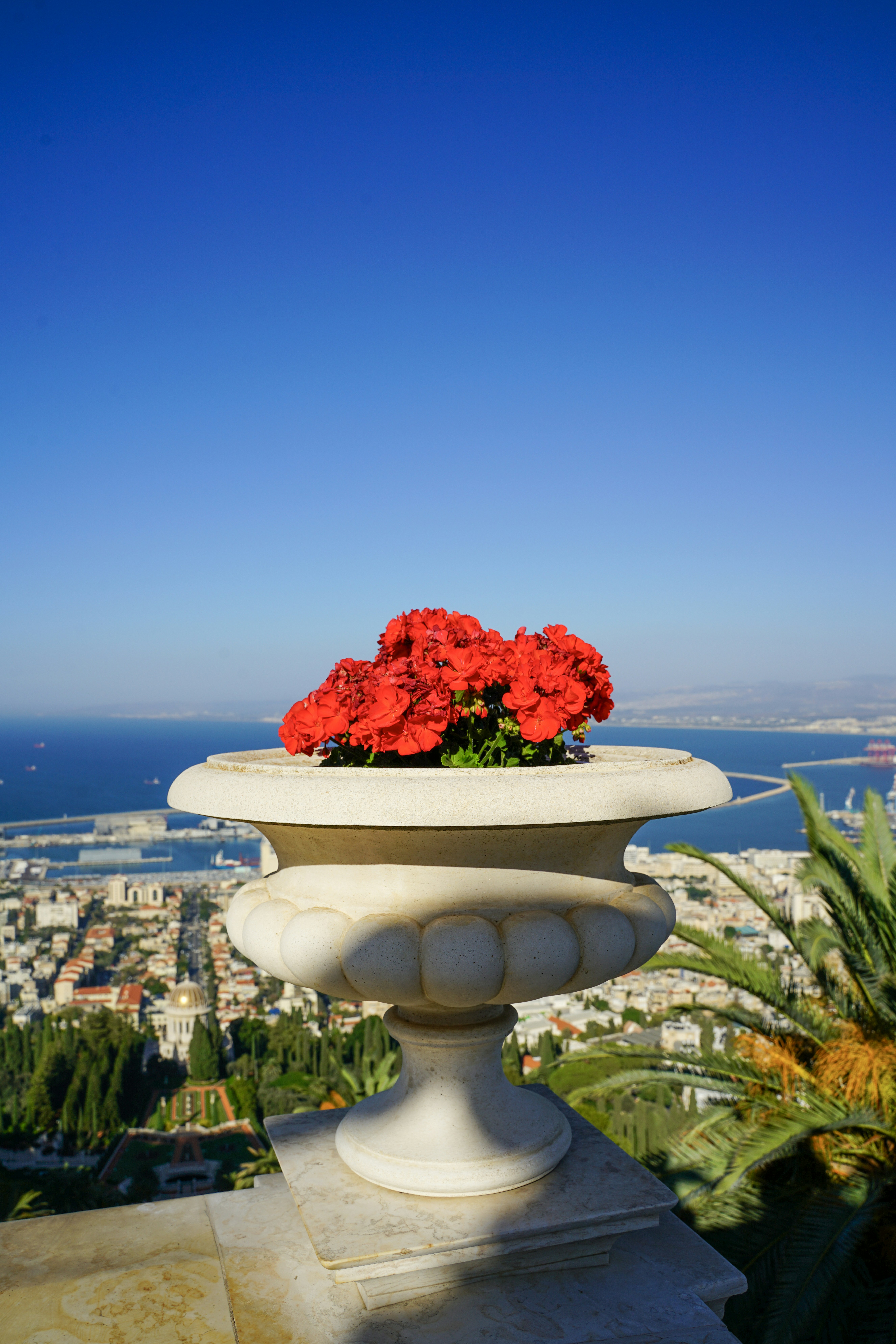 Red Hydrangea Crown Over a Classic Terrace