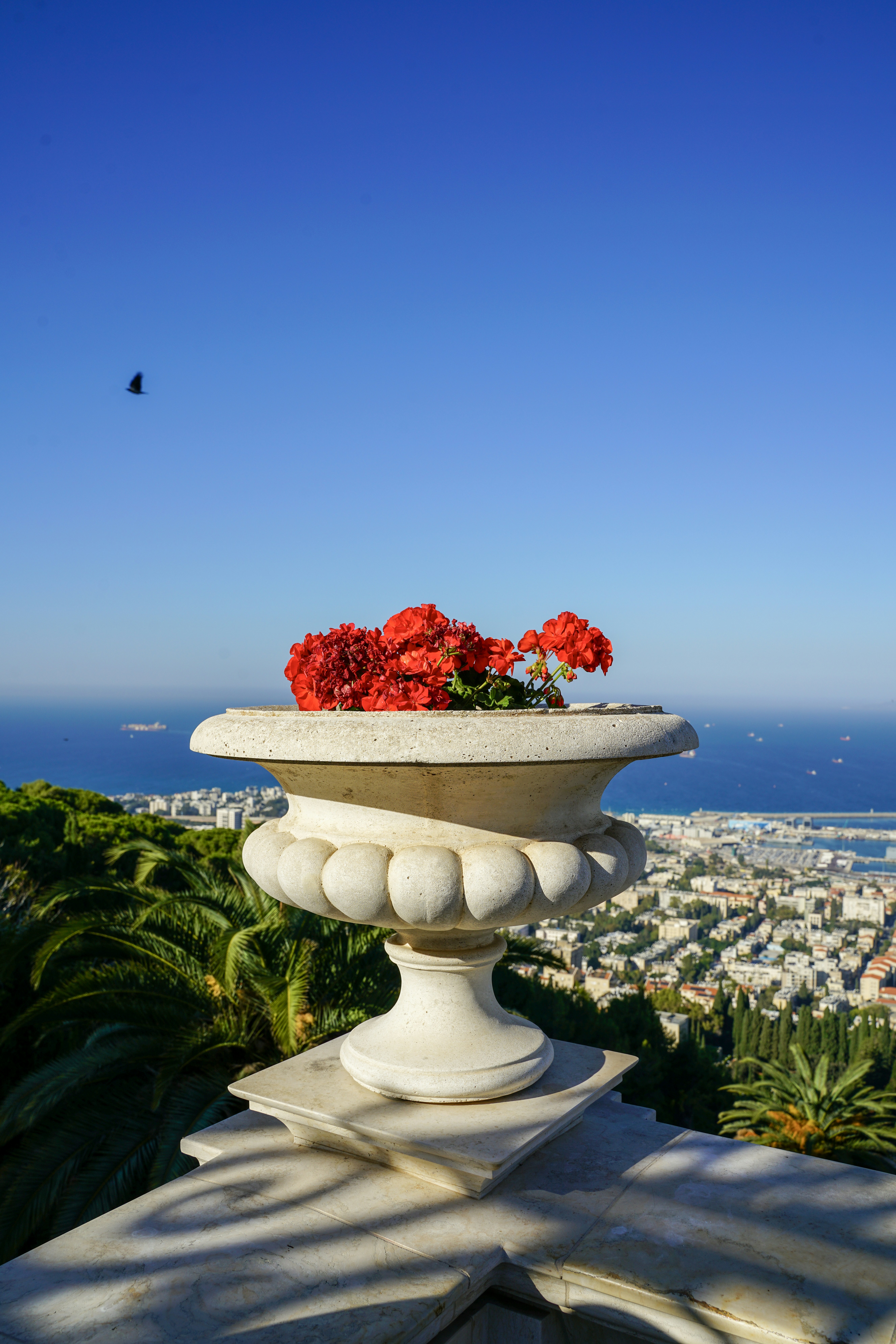 Red Geranium Urn Overlooking a Mediterranean City