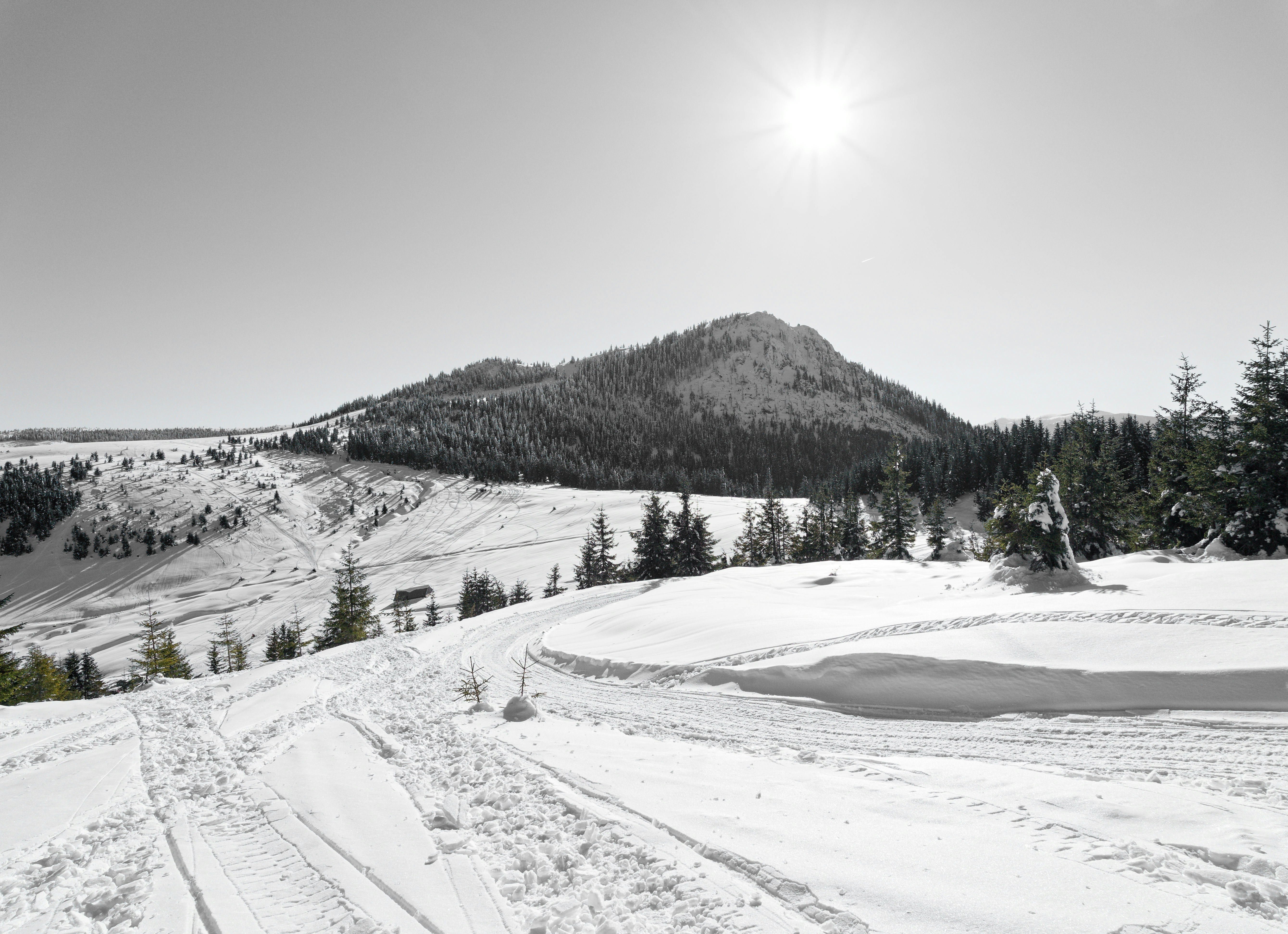 Sunny Summit: Snow-Covered Trail Toward a Quiet Peak