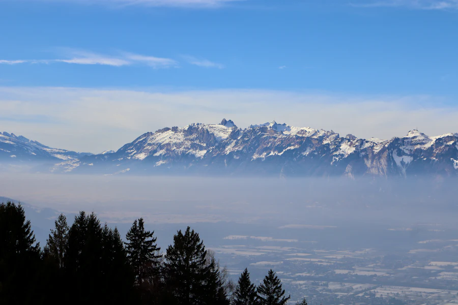 Snow-capped mountains rise above a hazy valley with a dark treeline in the foreground; a calm, expansive landscape emphasizing distance and atmosphere. The scene appears as a landscape photograph capturing natural elevation and atmospheric haze.