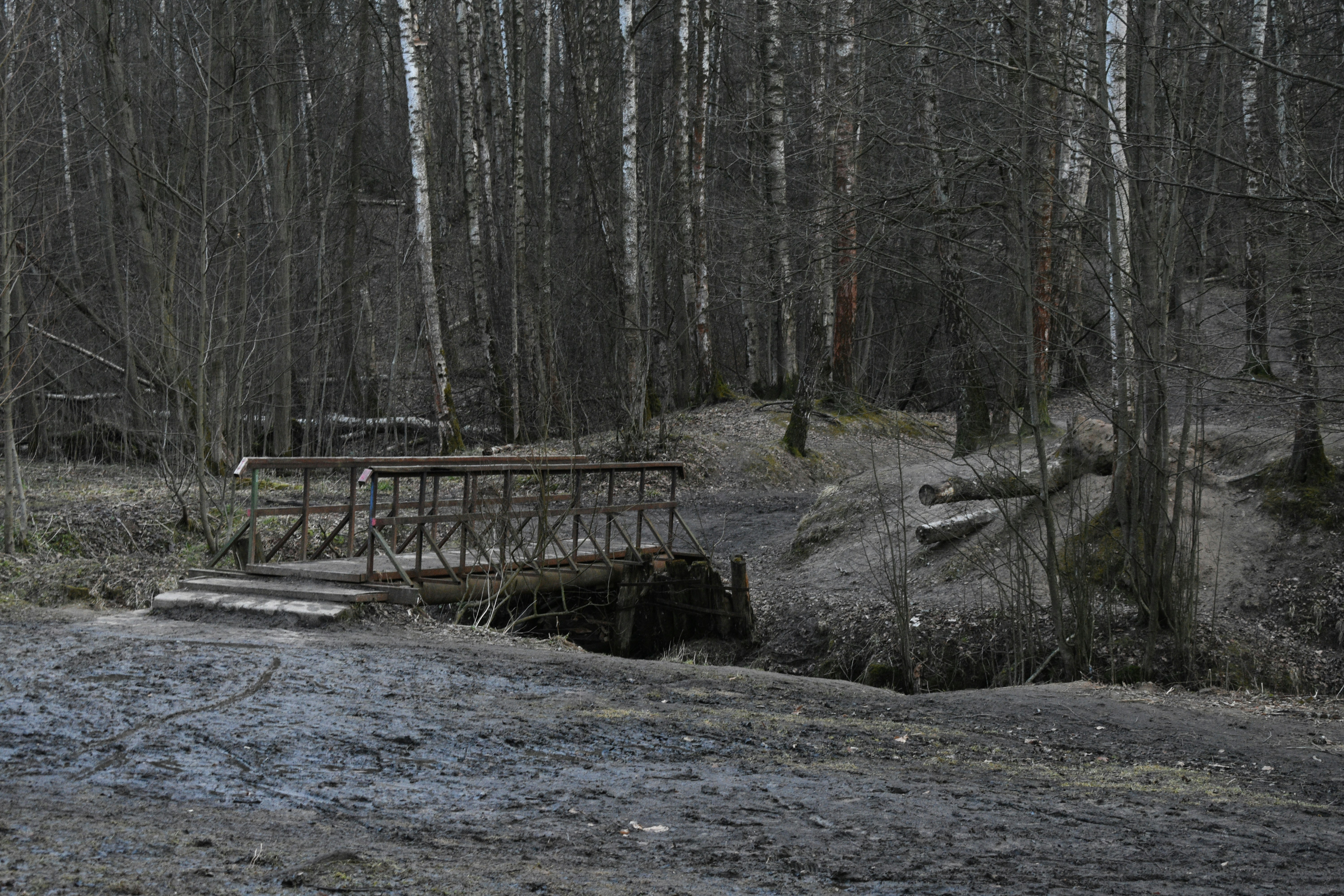 Winter Riverside Bridge Quietly Framed by Bare Trees