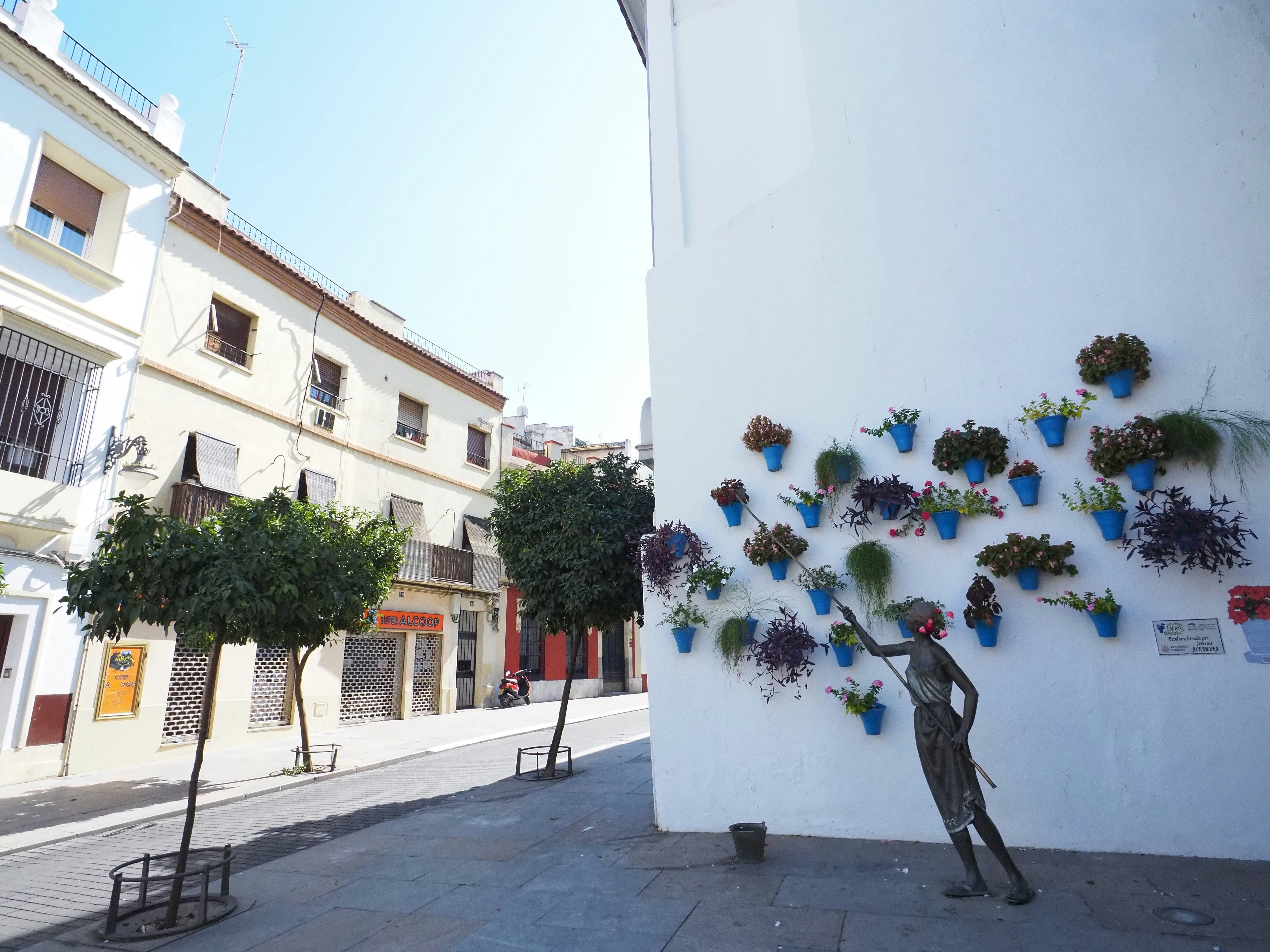 Whimsical Wall Bouquet: A Street Scene with a Dancing Shadow