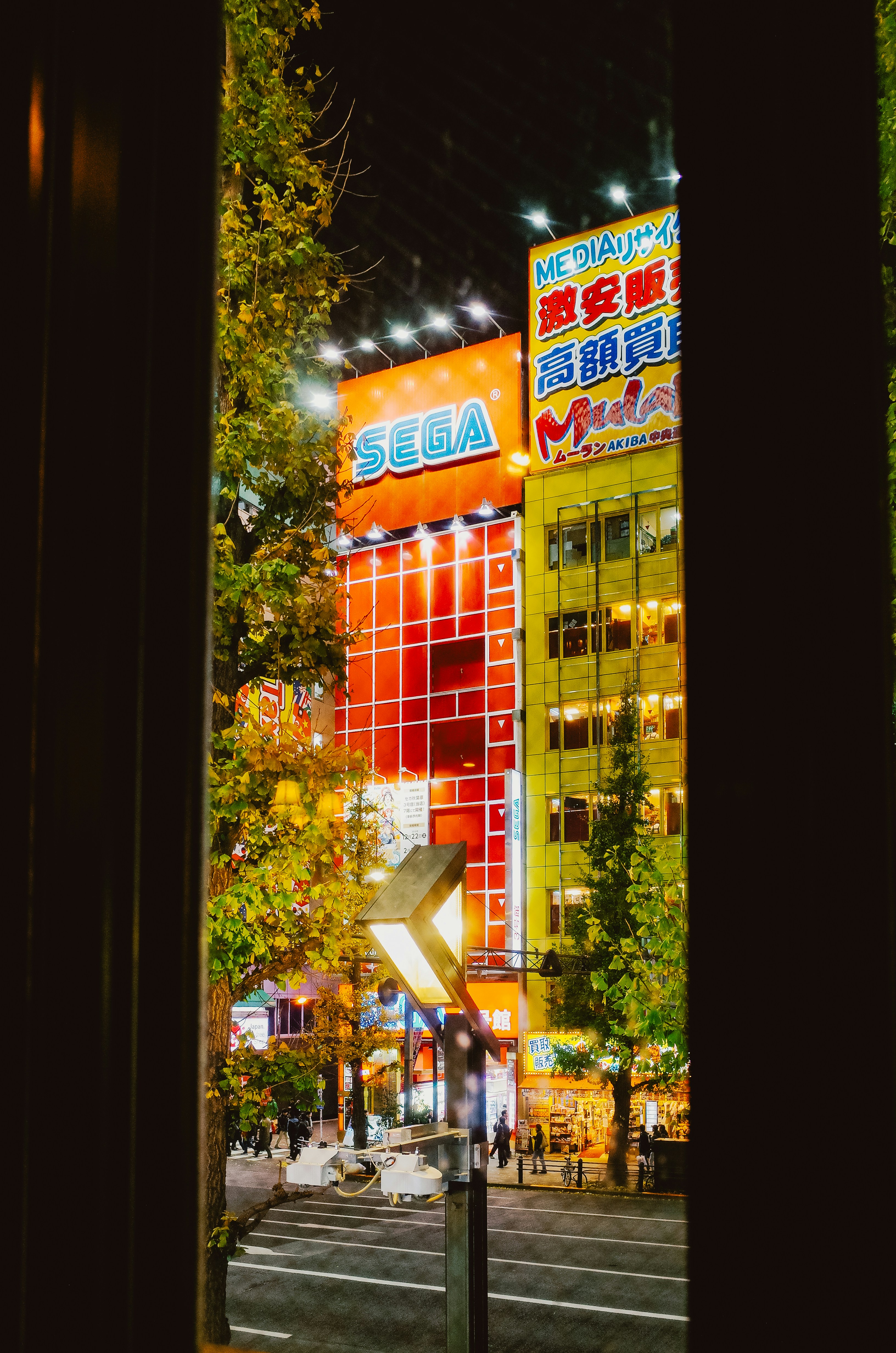 Neon Chronicles: Sega Signage Framed by Nightfall Street