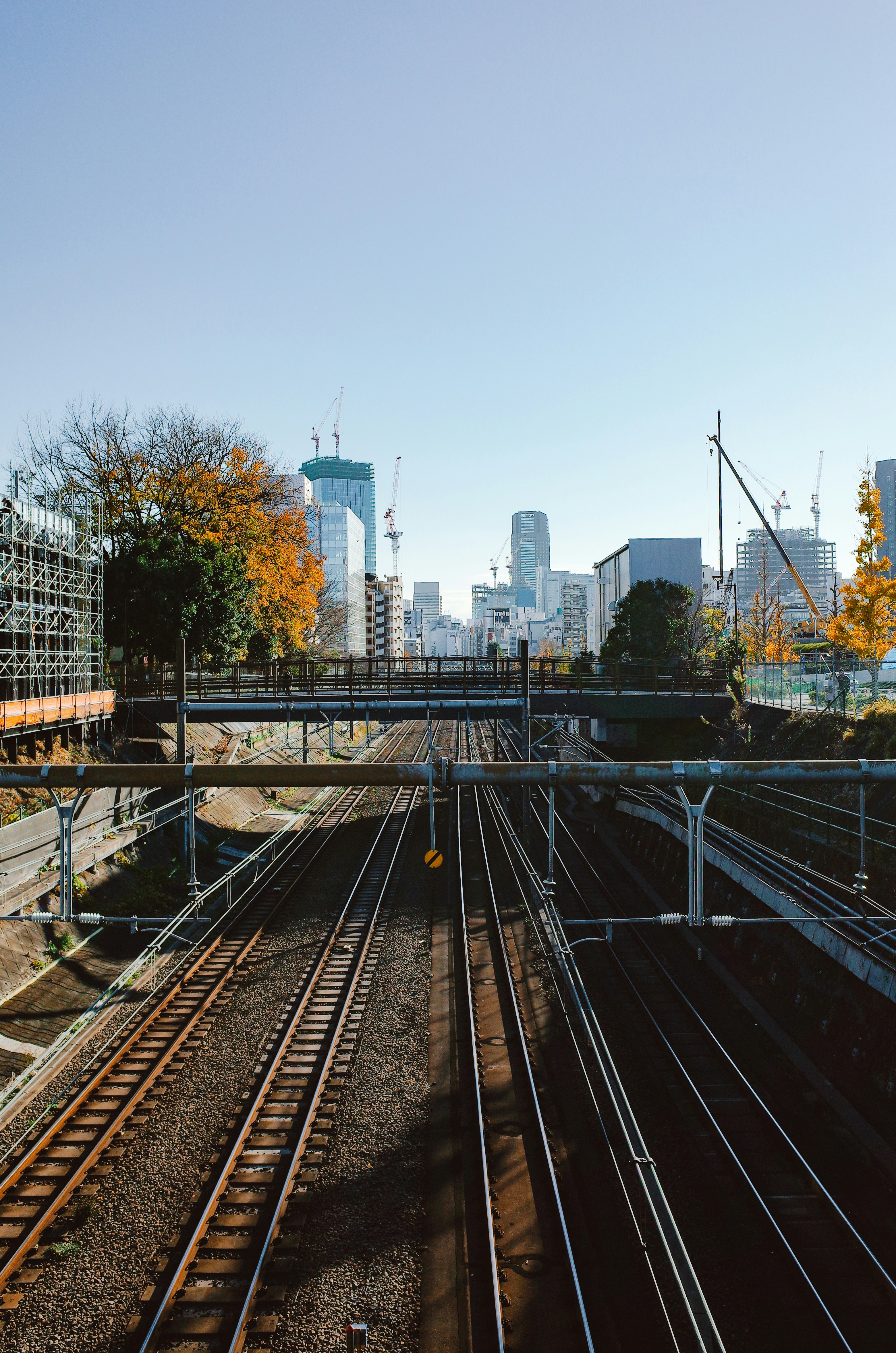 Rails to the City: Overhead Rails Converge toward a Skyline
