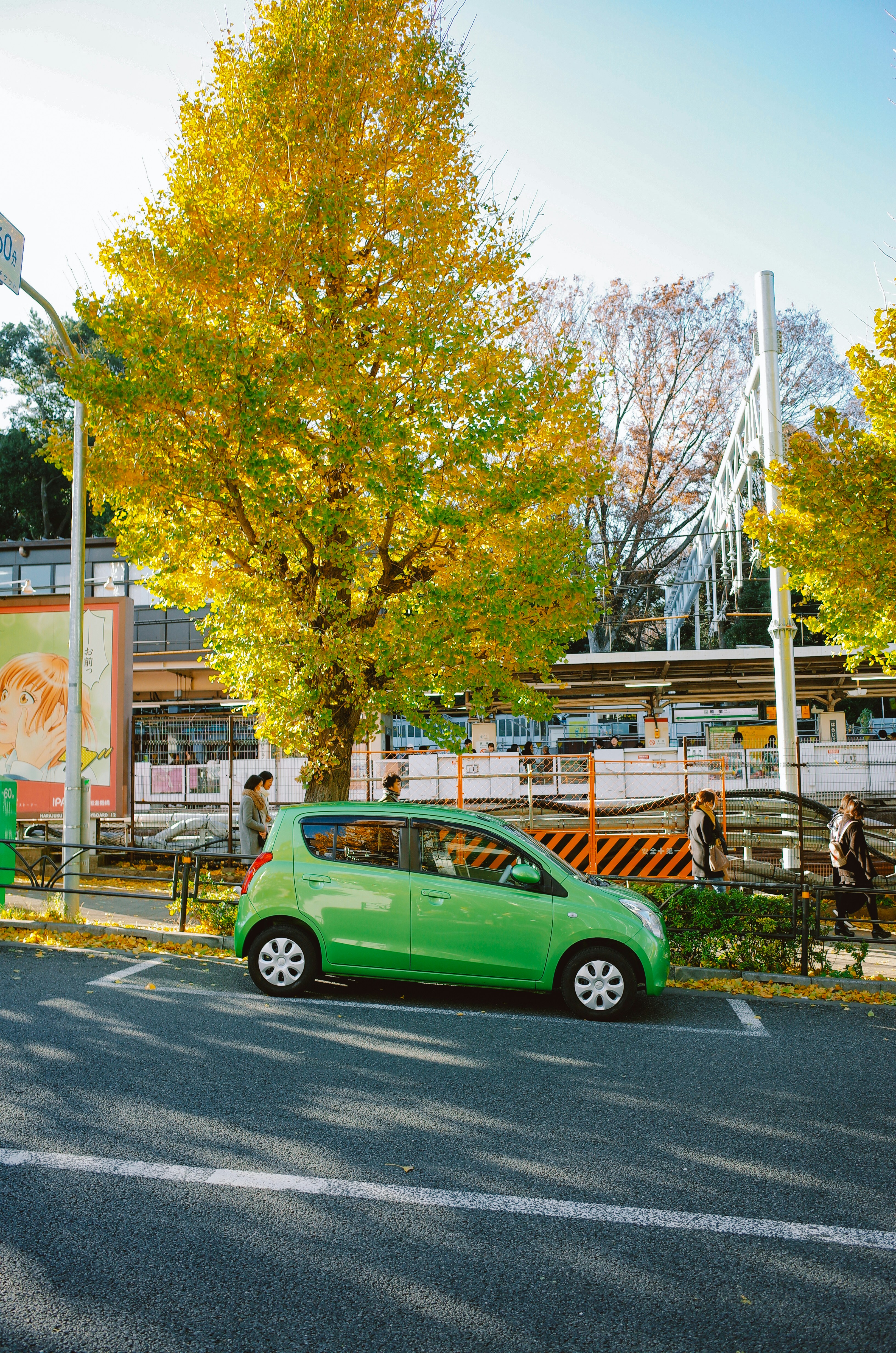 Bright Green Hatchback under Autumn Canopy by City Transit