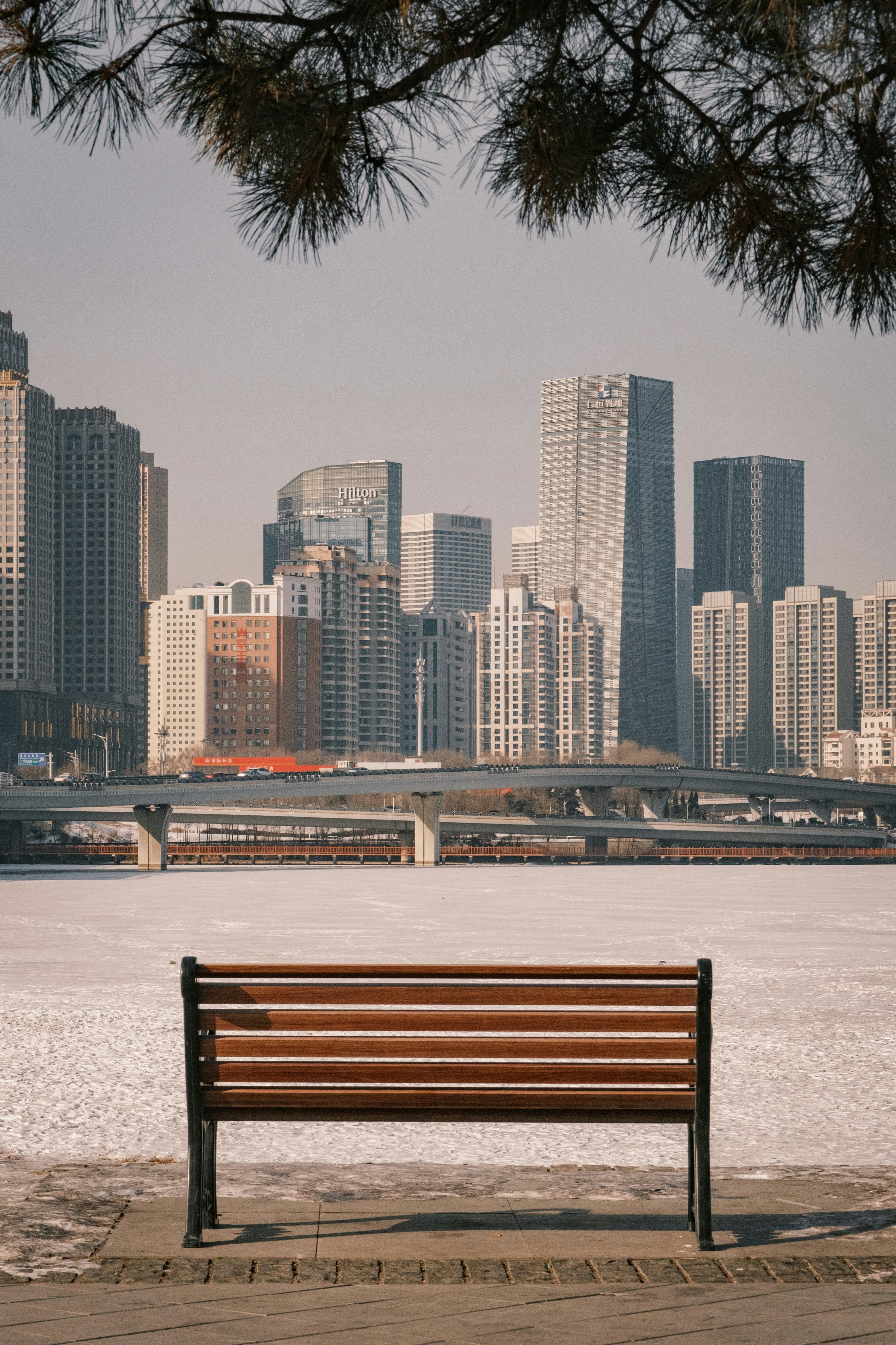 Empty Bench, Cityscape Reflections