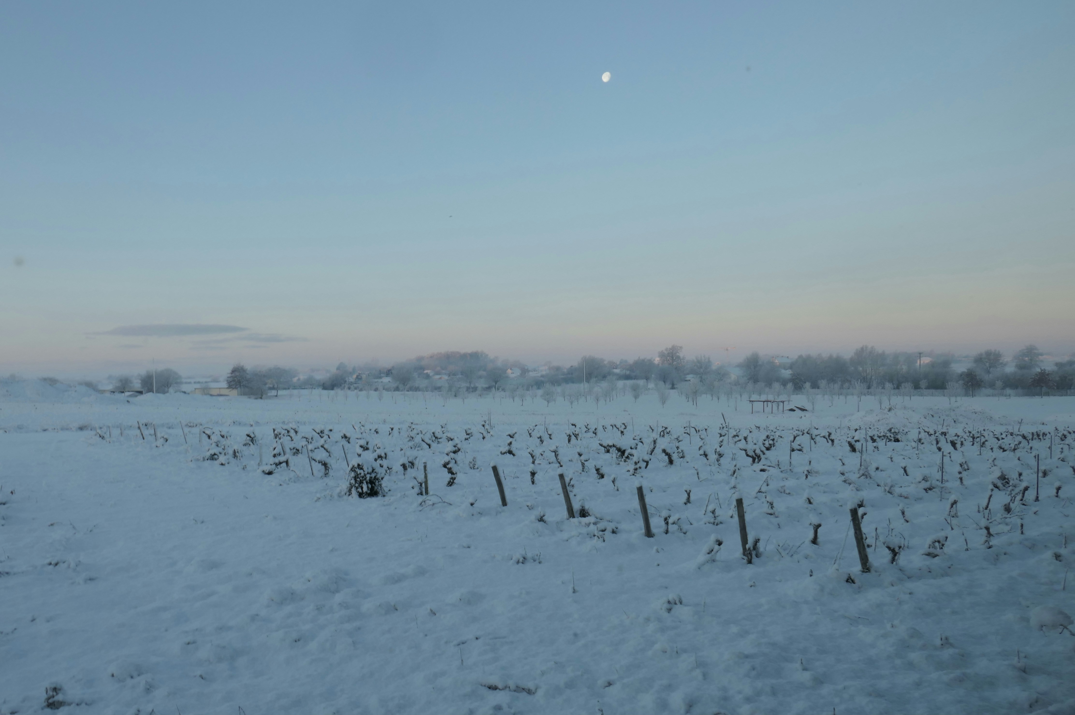 La lune sur sol flou Guy Grandjean Rouges Jardins