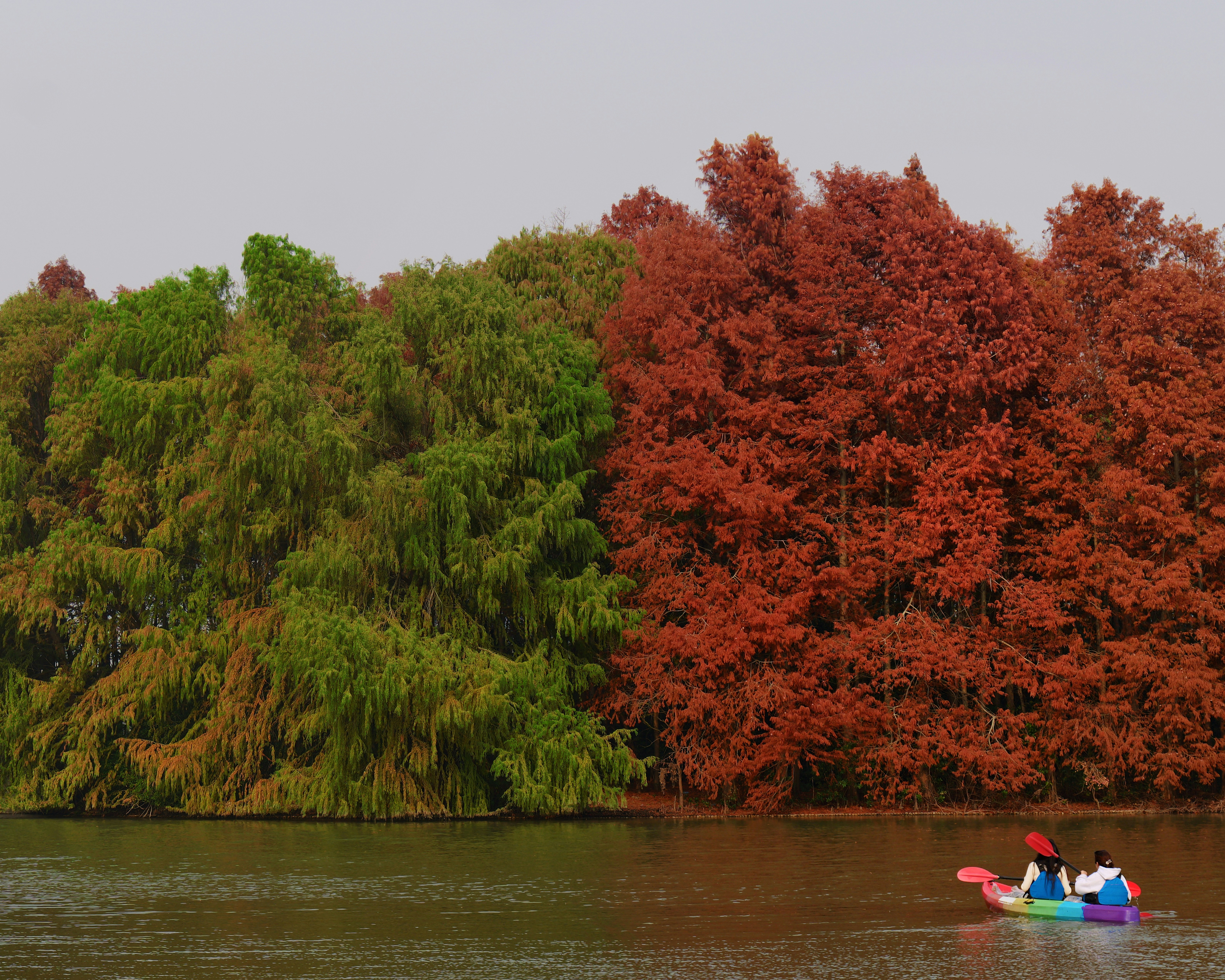 Autumn canopy over a calm river with a colorful canoe