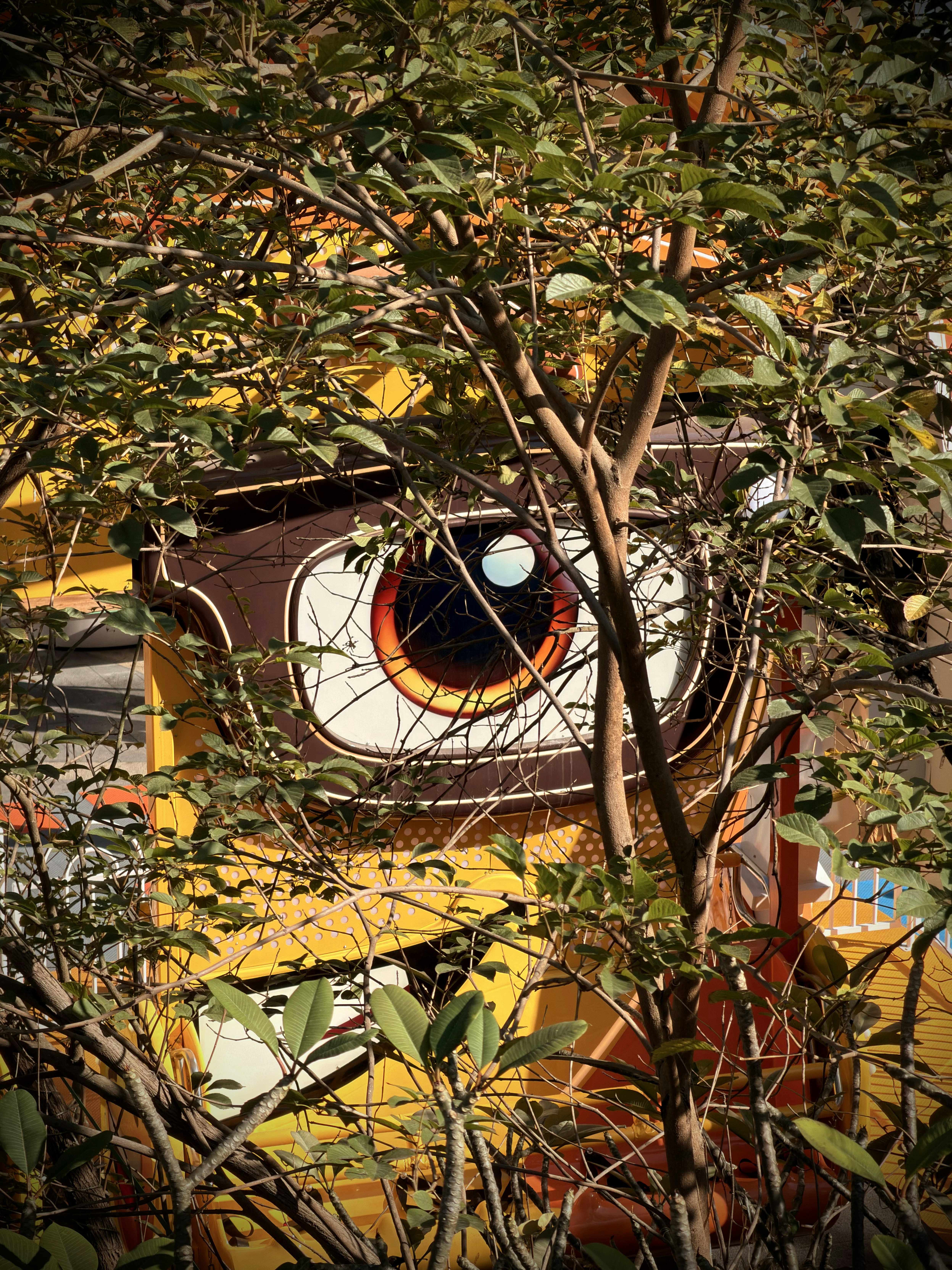 Hidden Eye in the Yellow Bus: A Moment of Veiled Focus