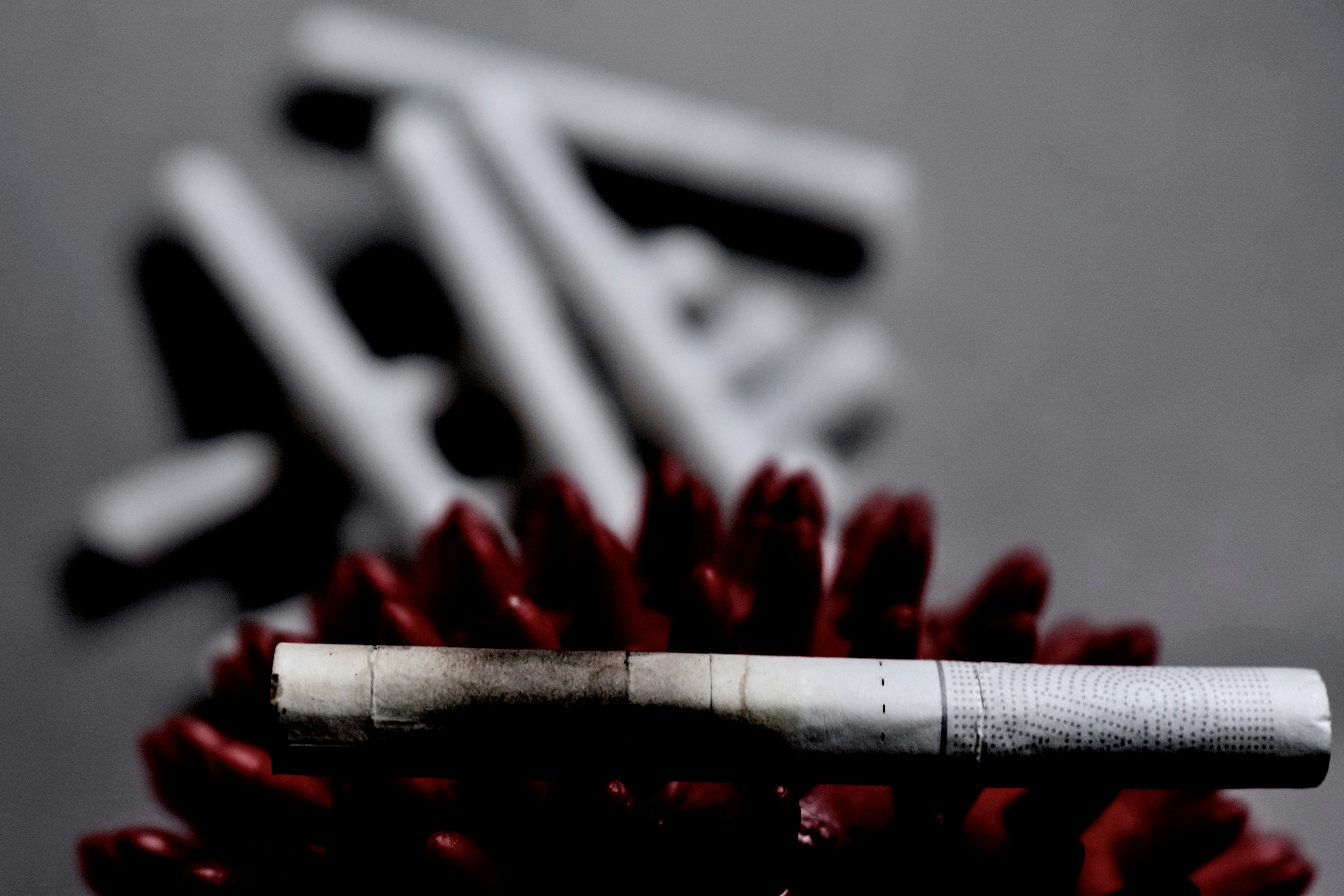 Muted Vigil: A Cigarette Resting on Velvet Red Tufts