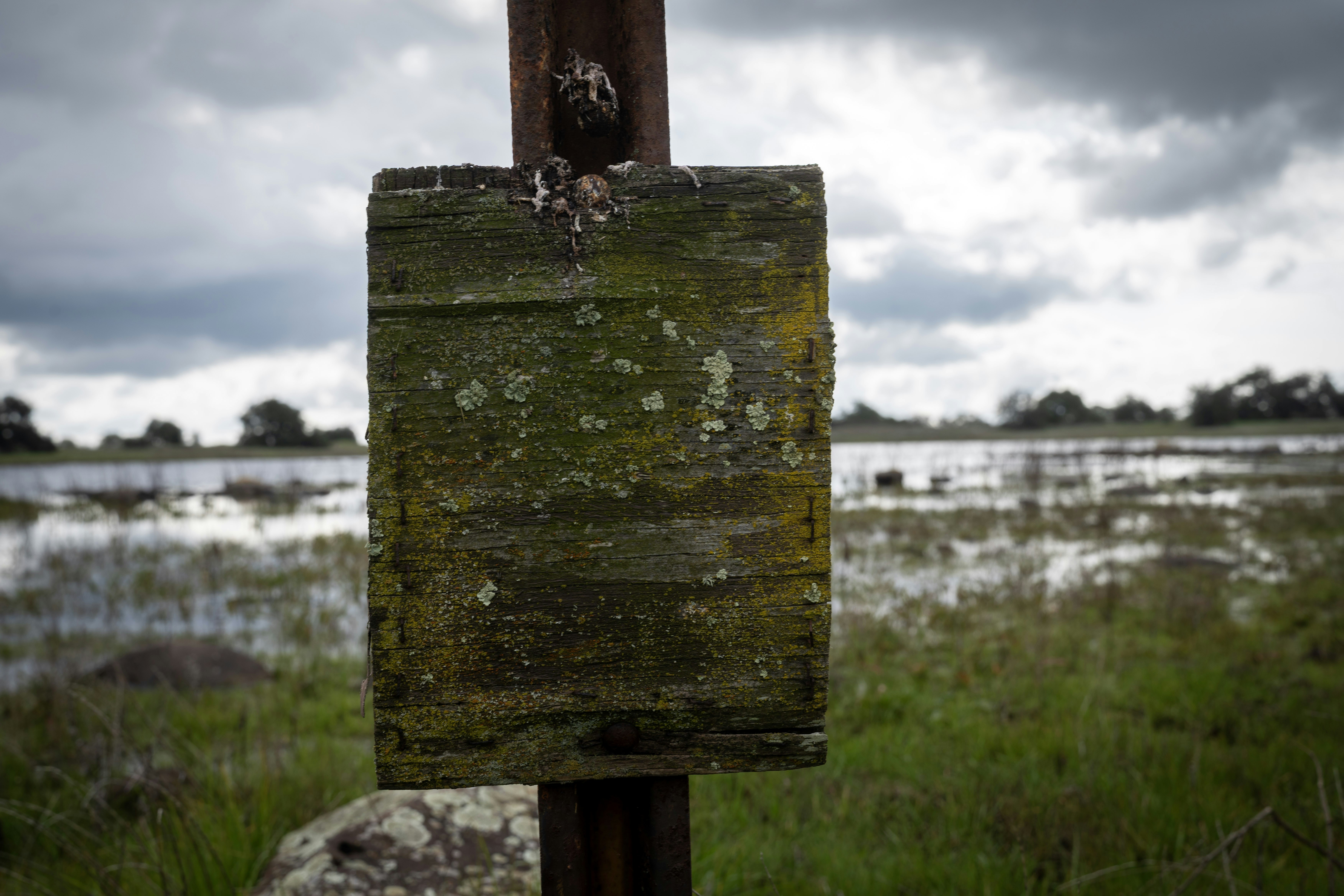 Lennart Rudolph (@lennrt) | Unsplash Photo Community