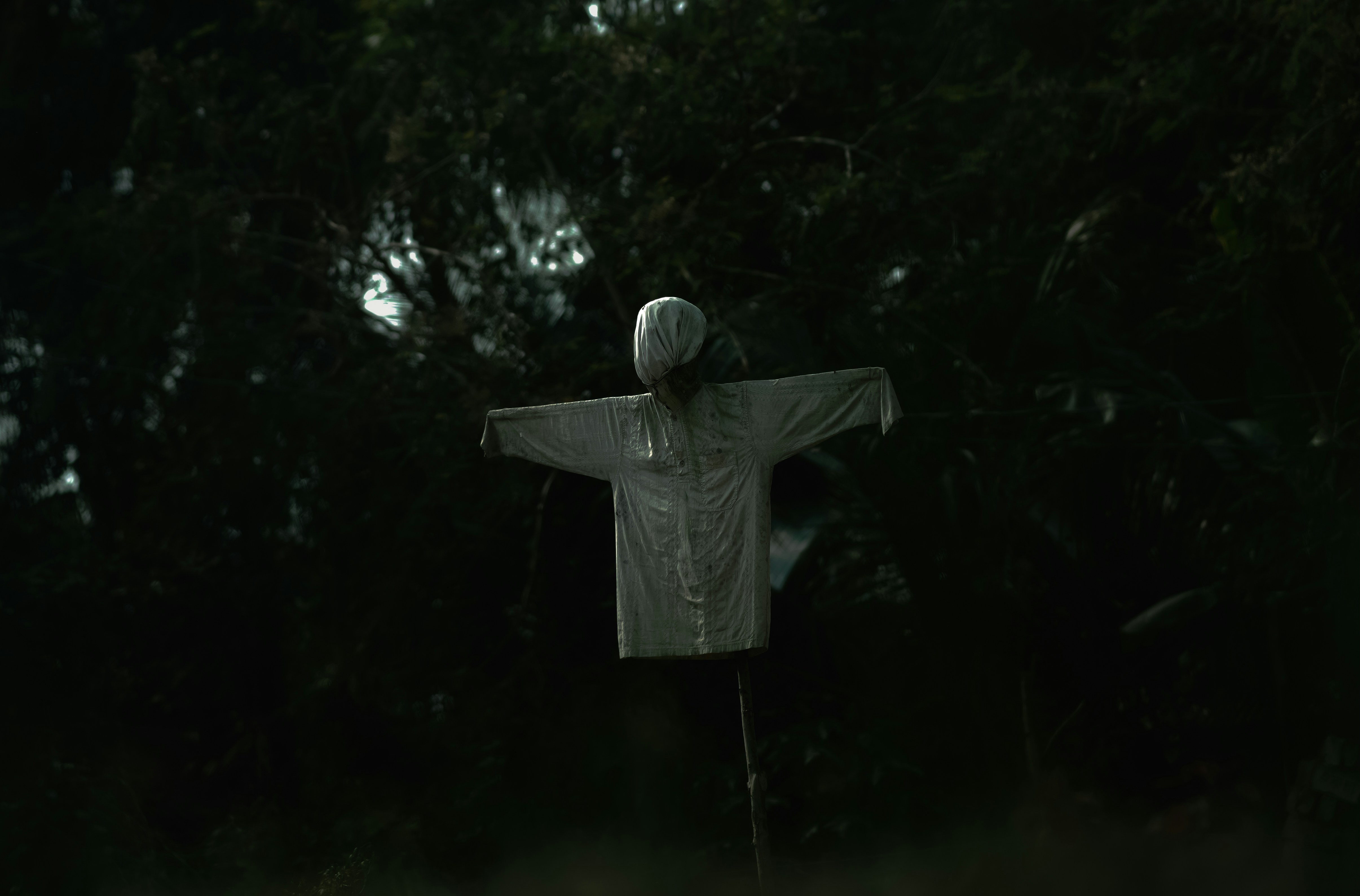Silhouette of a Tied Figure: A Quiet Vigil in the Forest