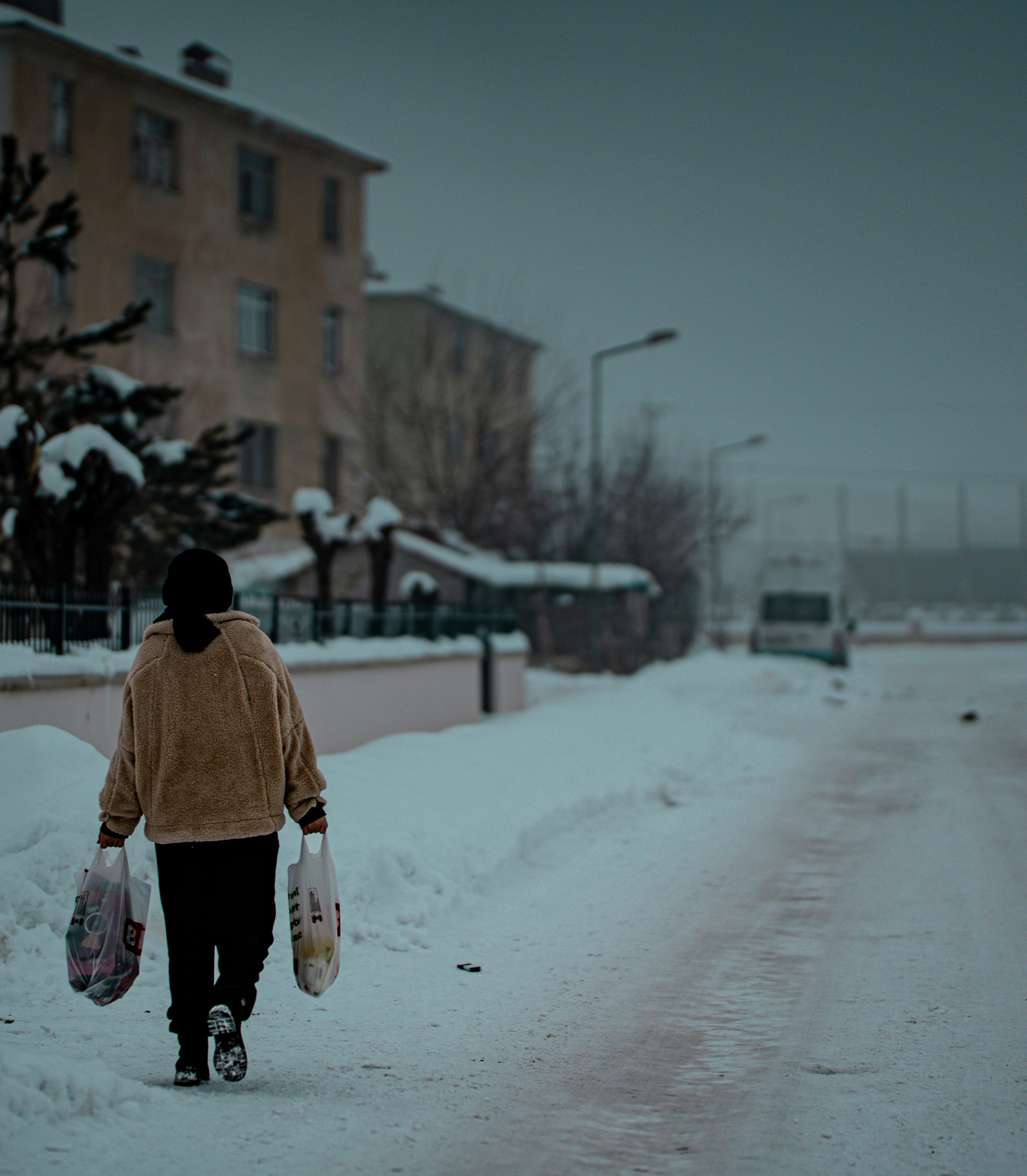Snowbound Steps: A Shopper's Silent Trek Through Winter Streets