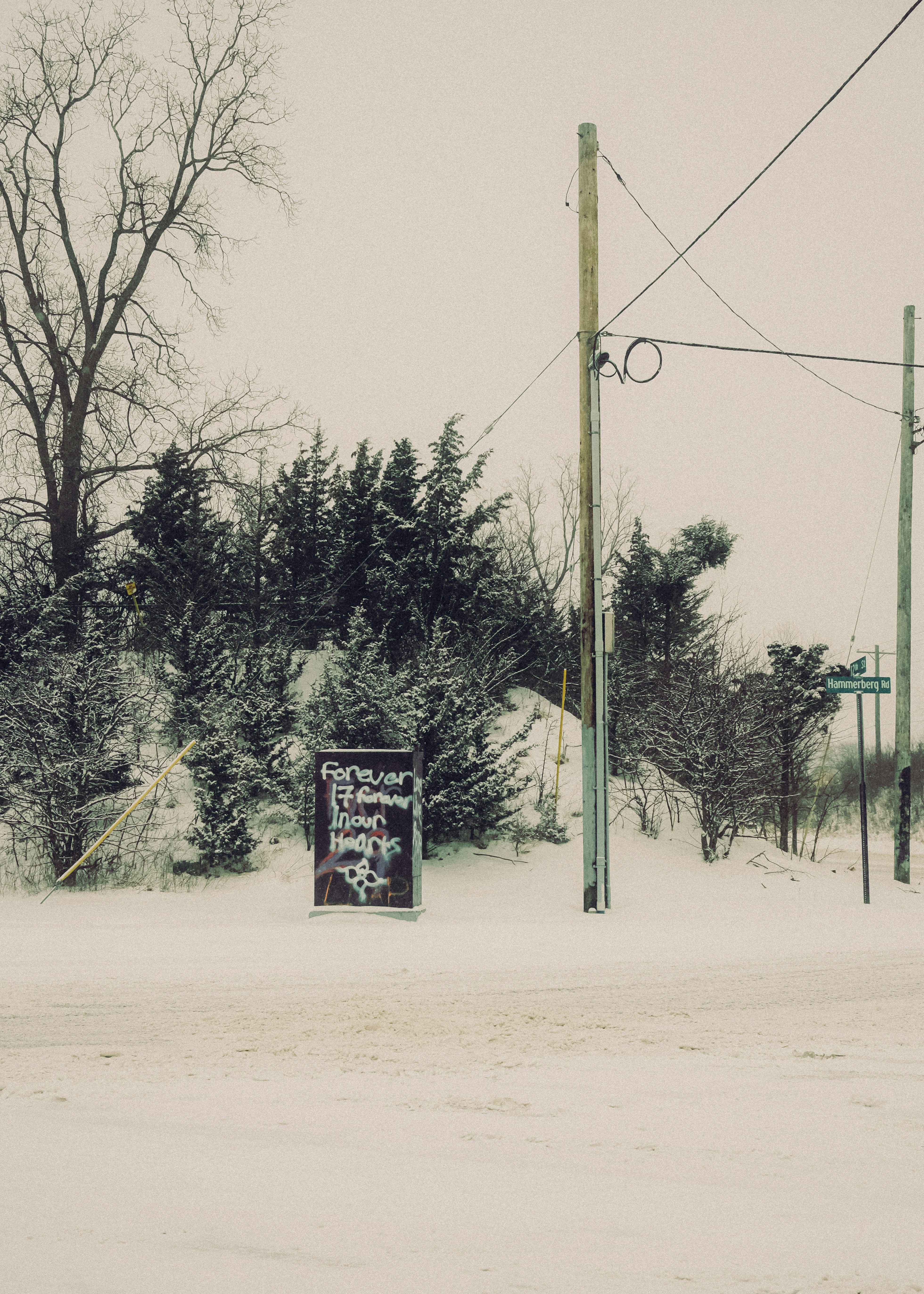 Snowy roadside quiet with graffiti board and utility poles