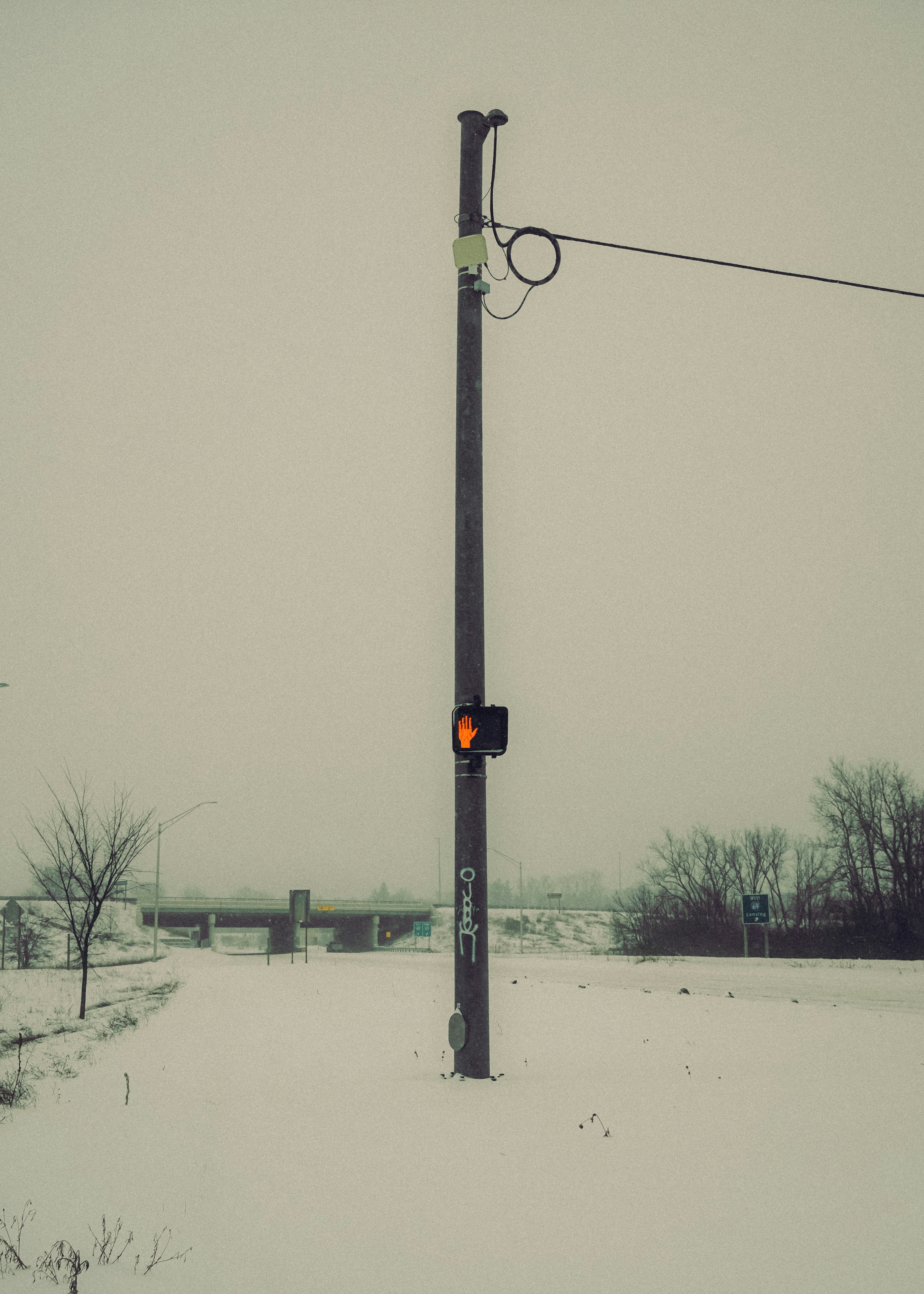 Winter Crossing: A Silent Utility Pole in Snow