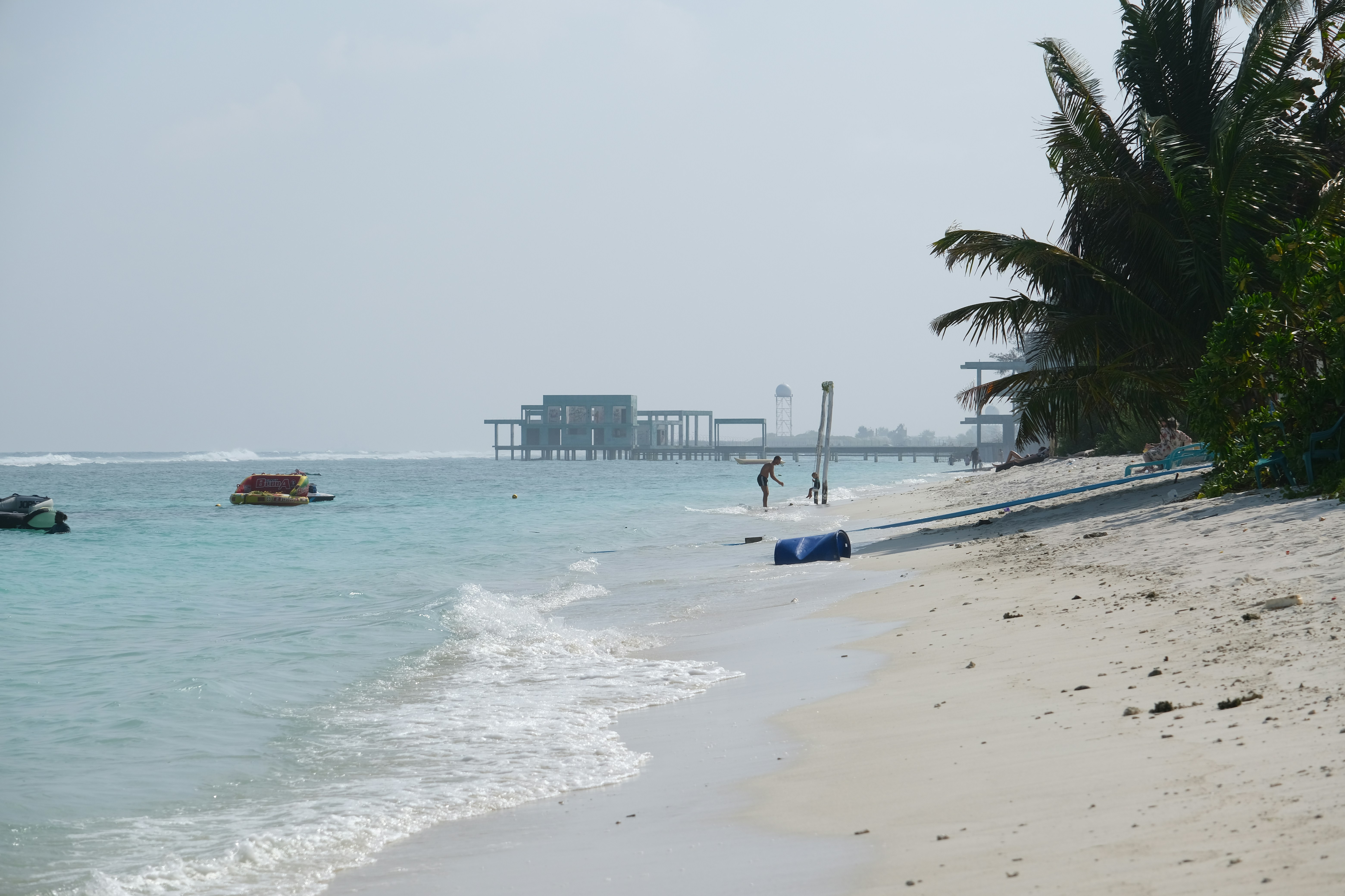 Palm-fringed Shoreline with Distant Pier and Gentle Waves