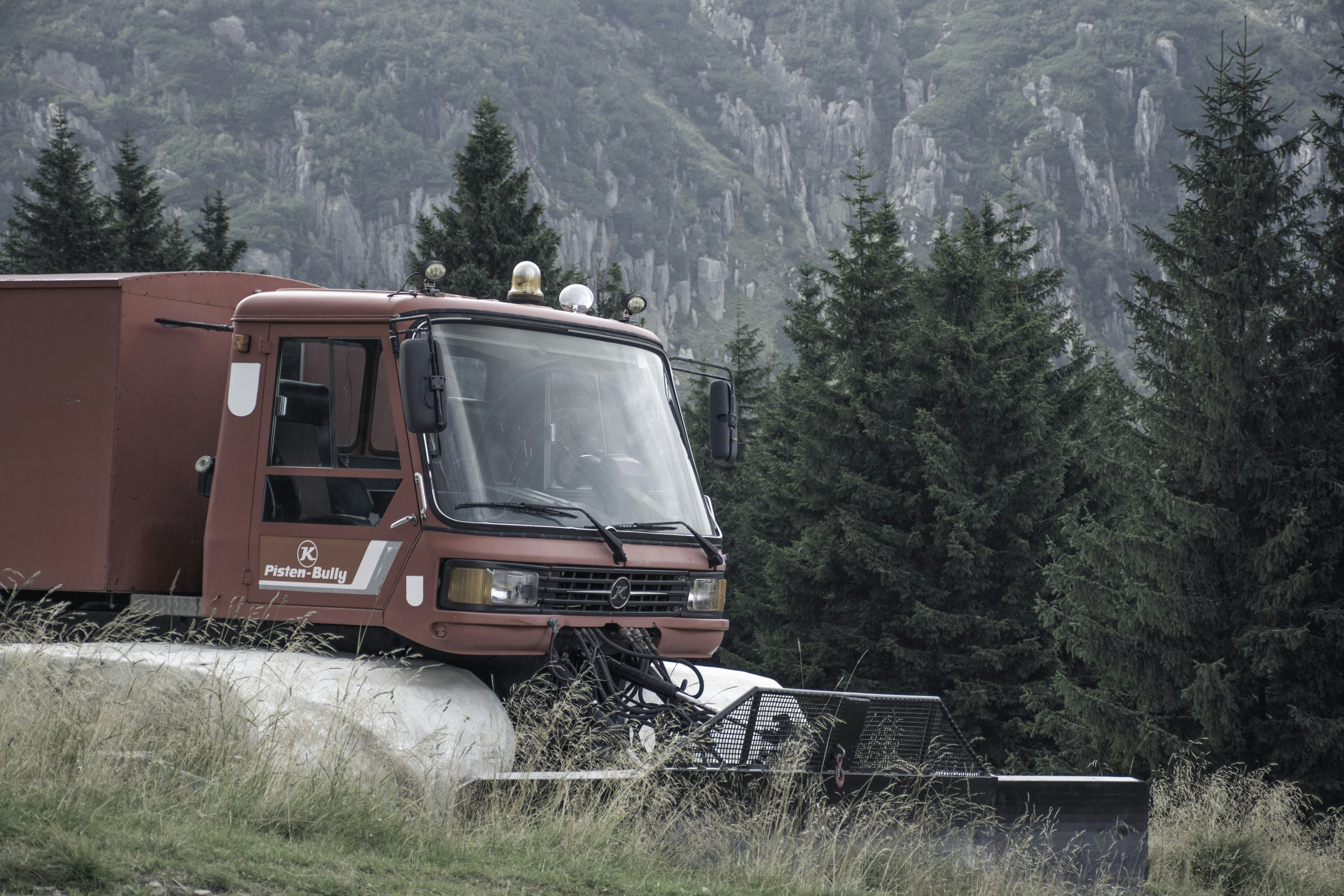 Red Utility Truck Resting at the Edge of a Forested Moor