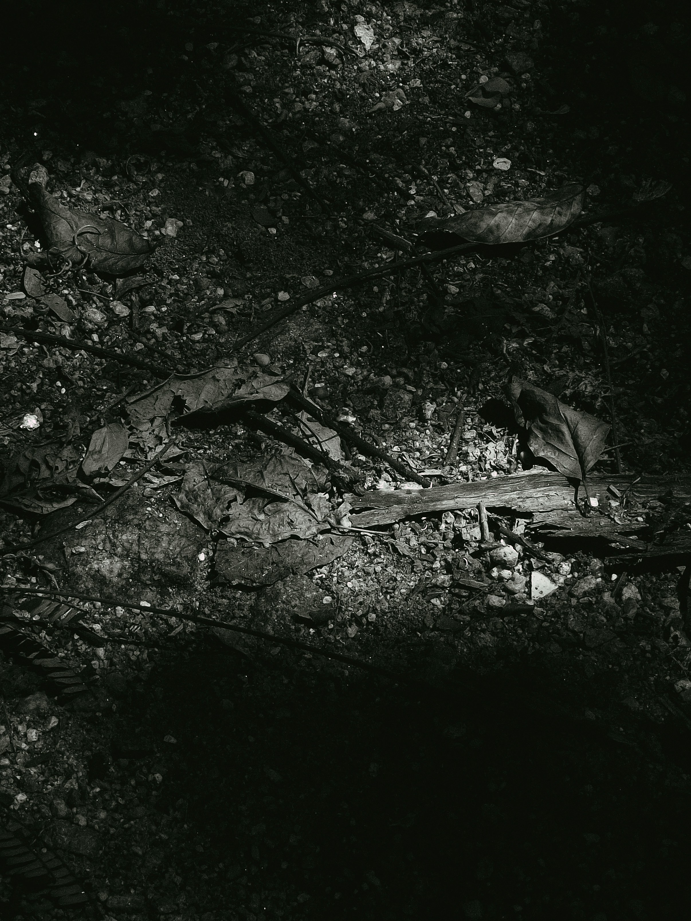 Lucas Victor (@llucassjpg) | Unsplash Photo Community