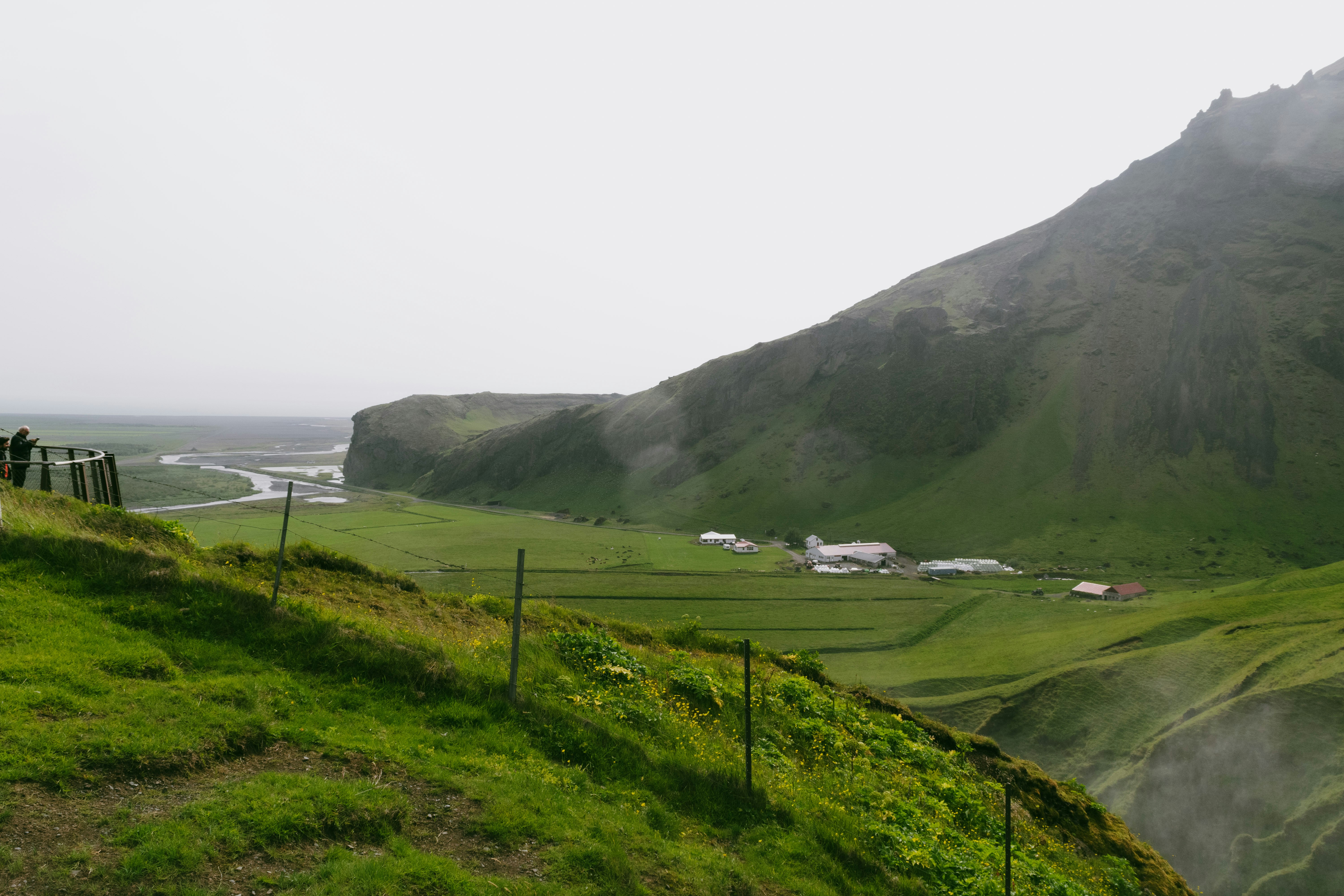 Green Valley Cliffs Under Mist: A Quiet Coastal Fold