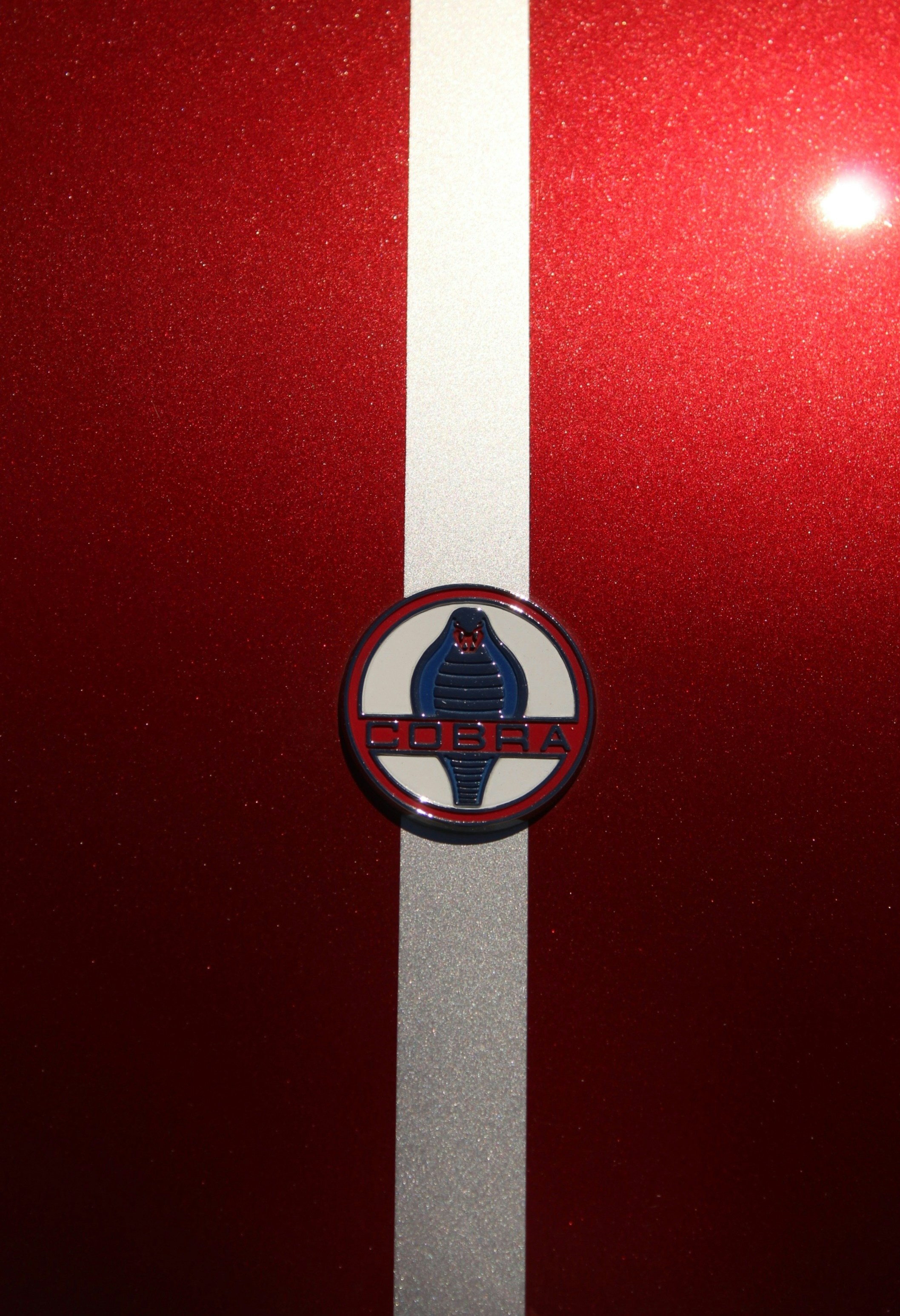 Vertical Stripe of Red: A Jaguar Emblem Anchored by a Silver Road
