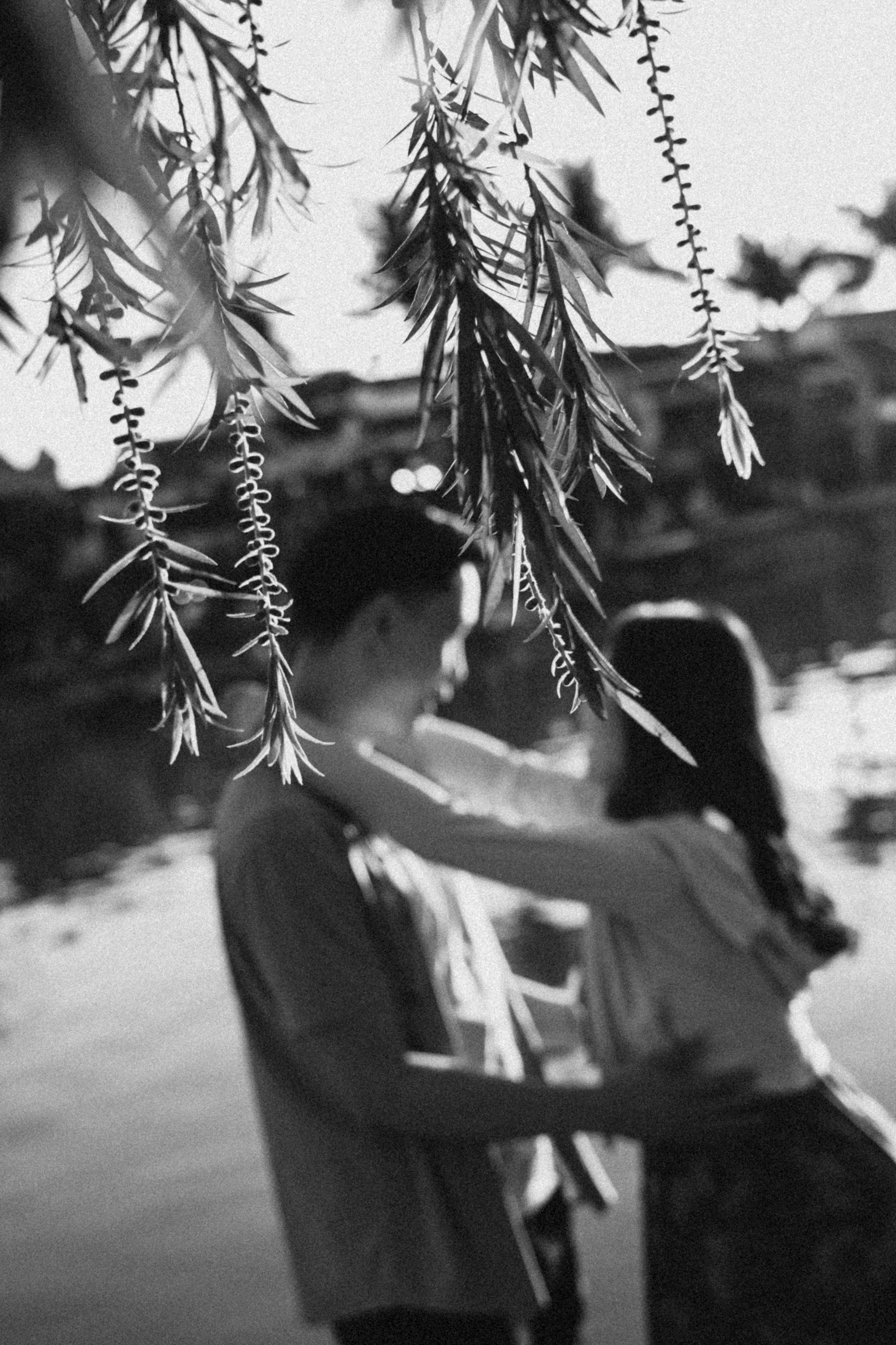 Whispers in the Willow: A Tender Moment by the Water