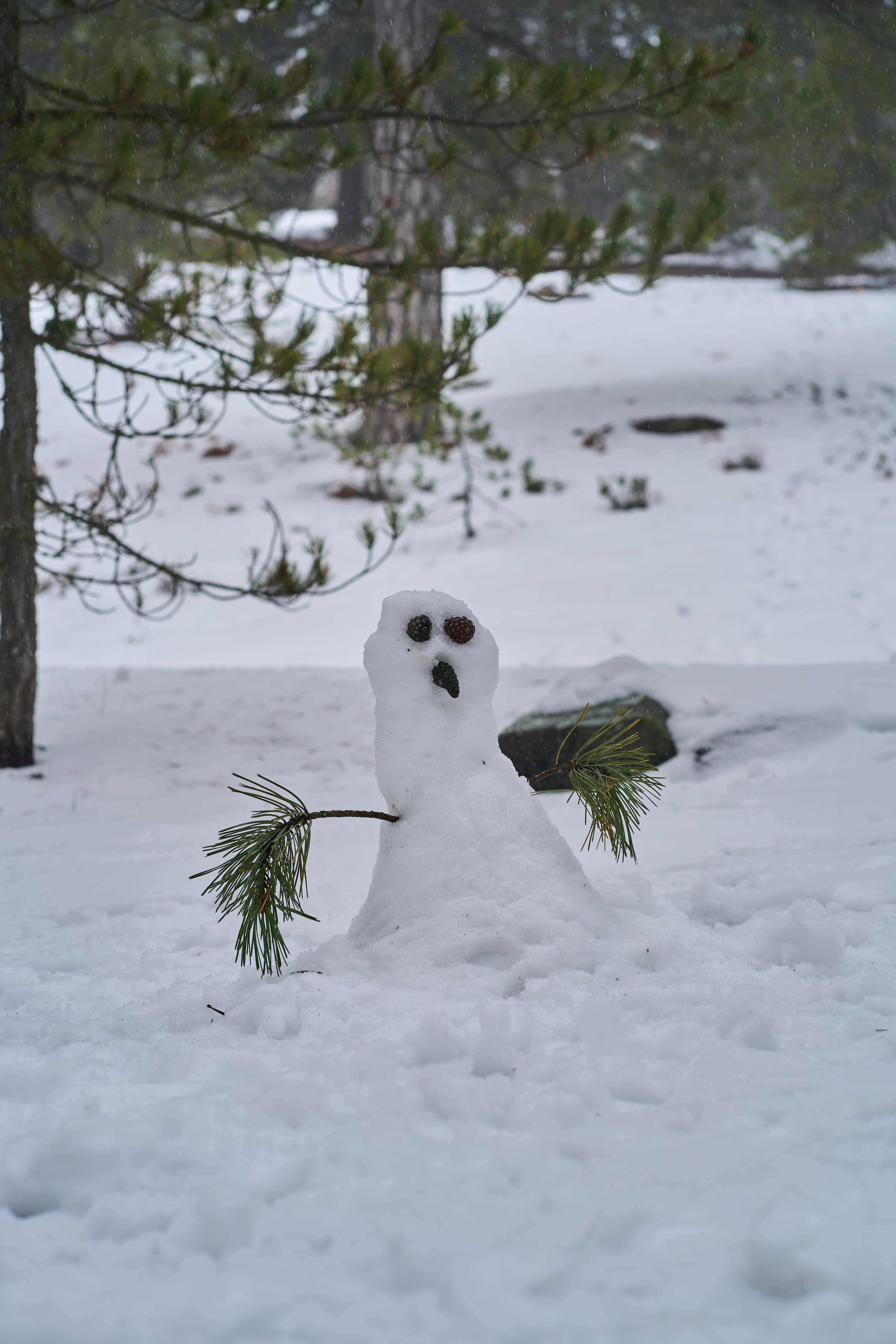 Snow Ghost: A Tiny Snowman Reaches for the Pines