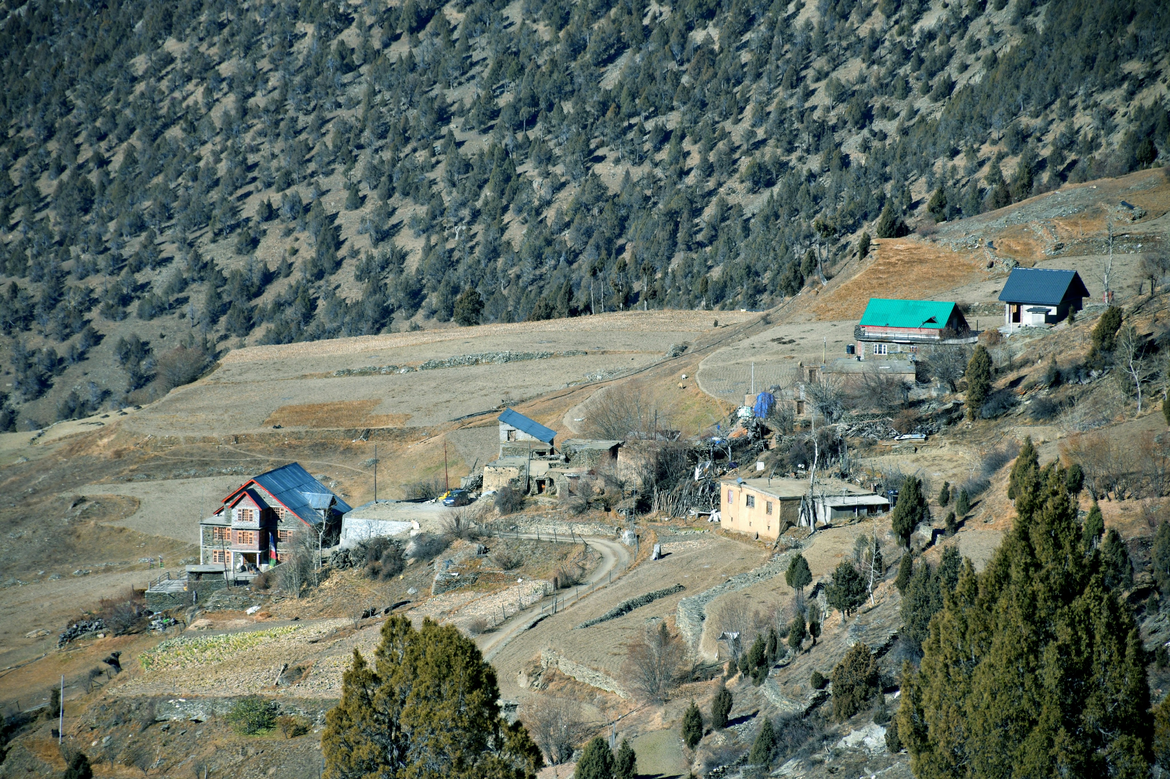 Hilltop Hamlet: A Cluster of Weathered Cabins Nestled on a Winding Ridge