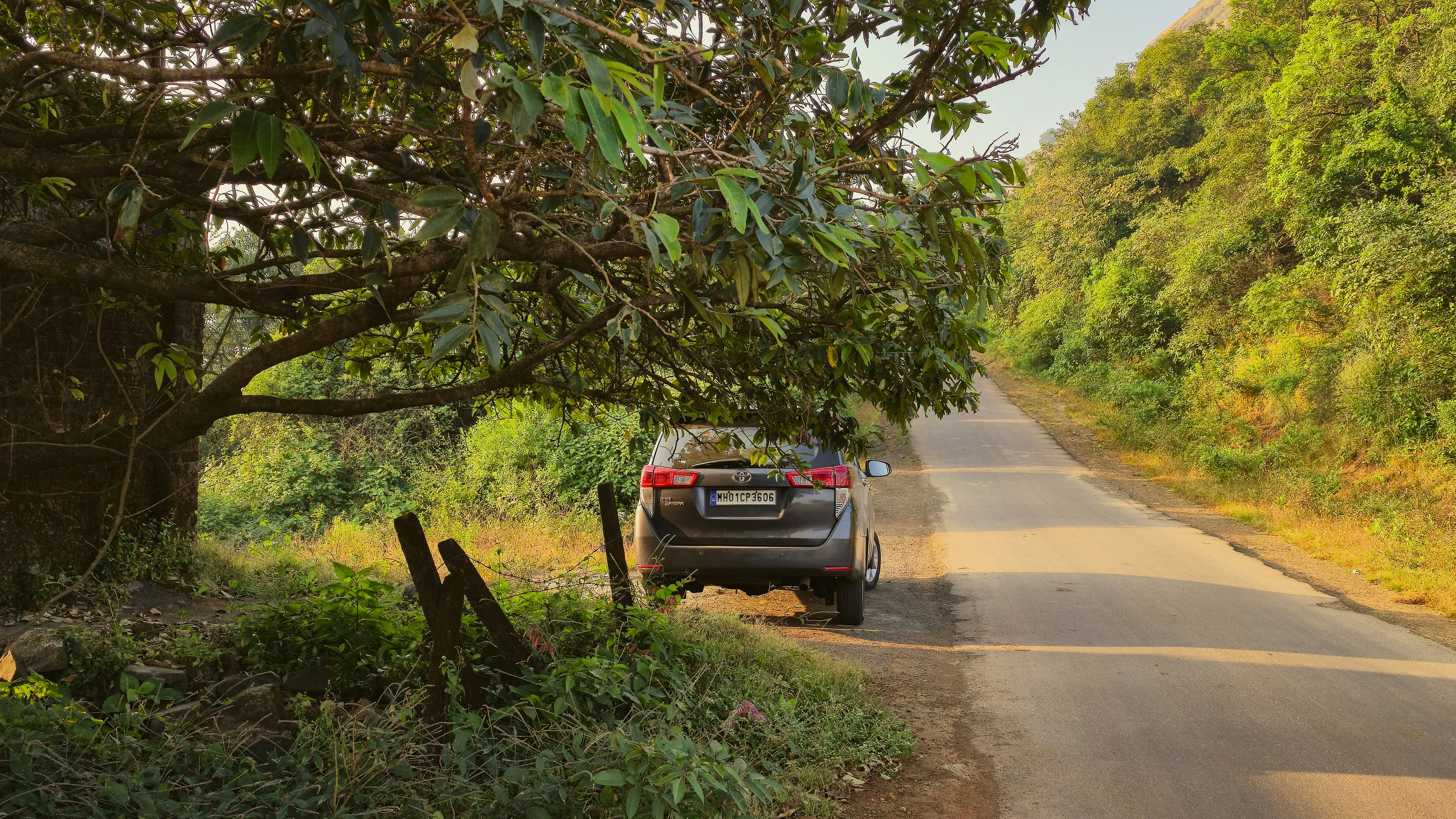 Car on a Quiet Rural Road Disappearing into the Distant Curve