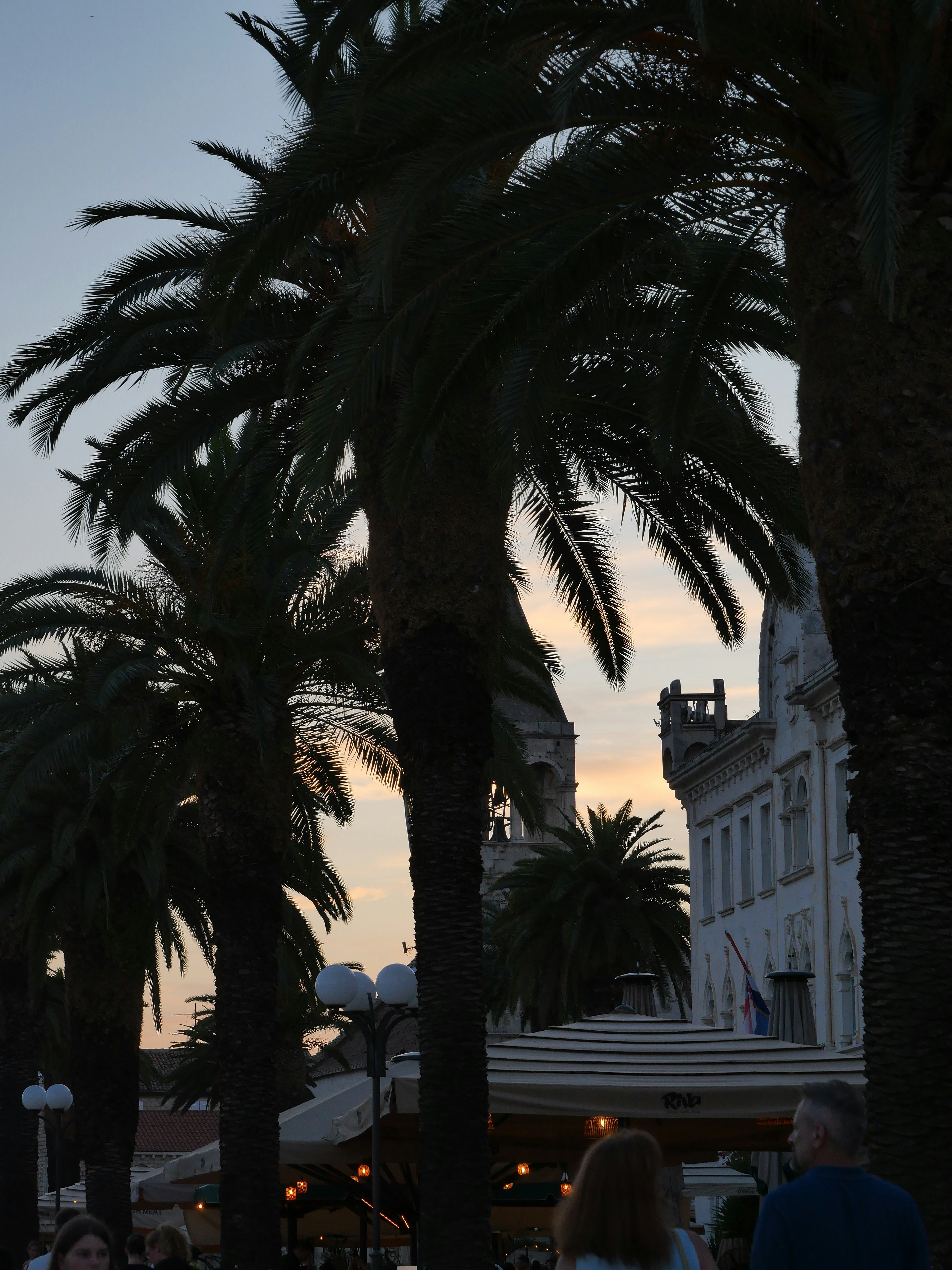 Sunset Vale in Palm Courtyard