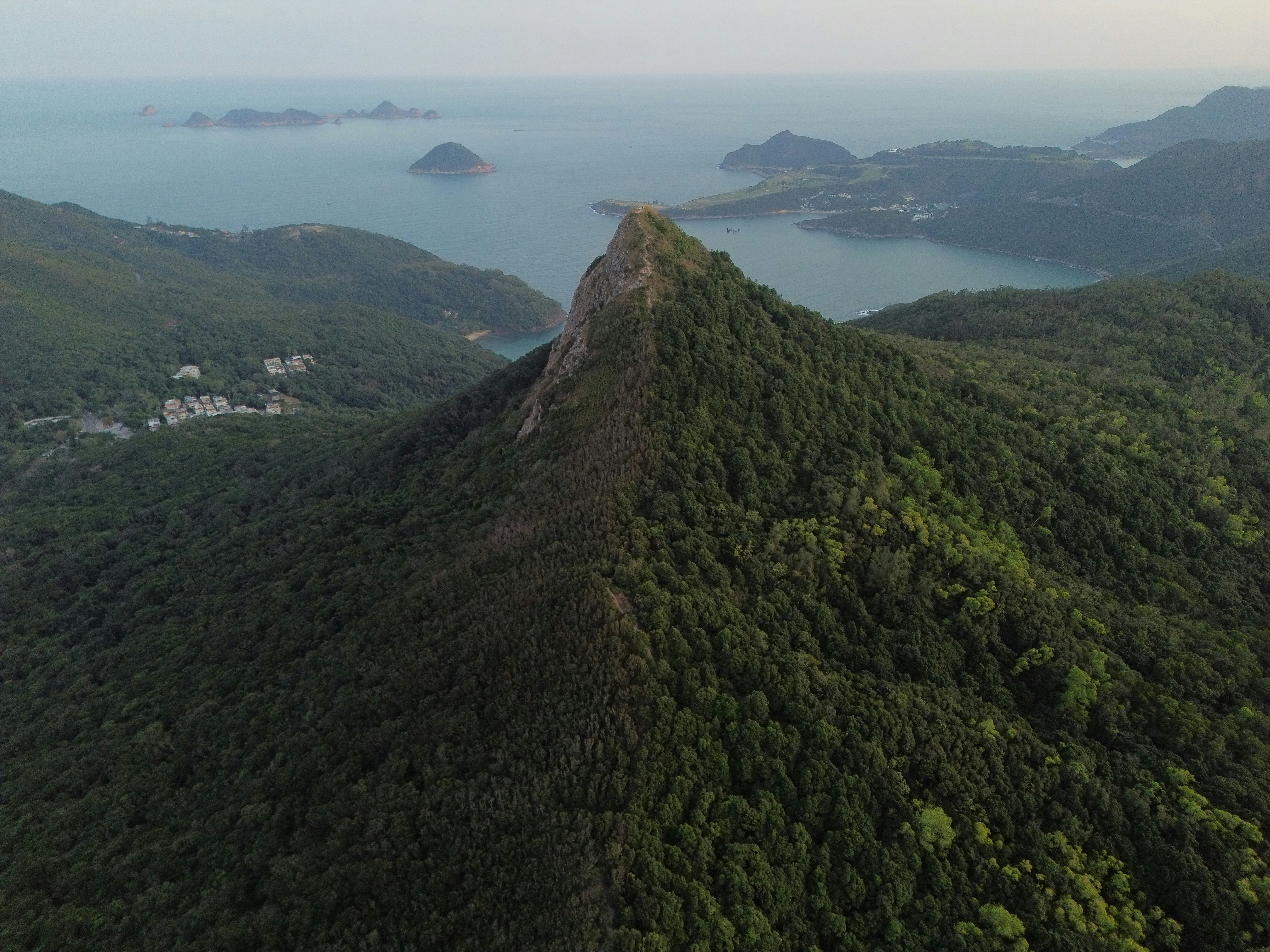 Crowning Peak Over a Misty Coastal Forest
