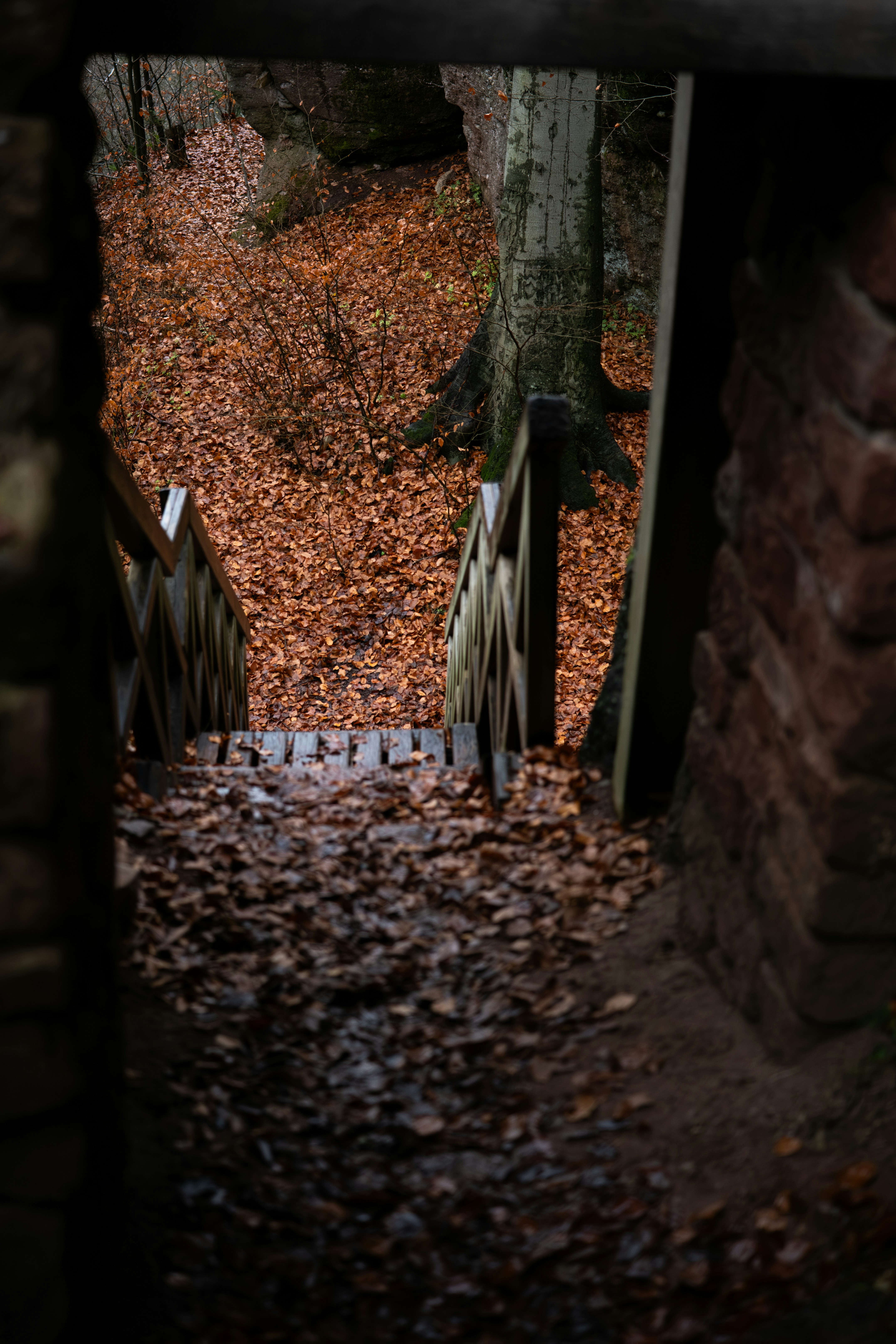 Staircase into Autumn Silence