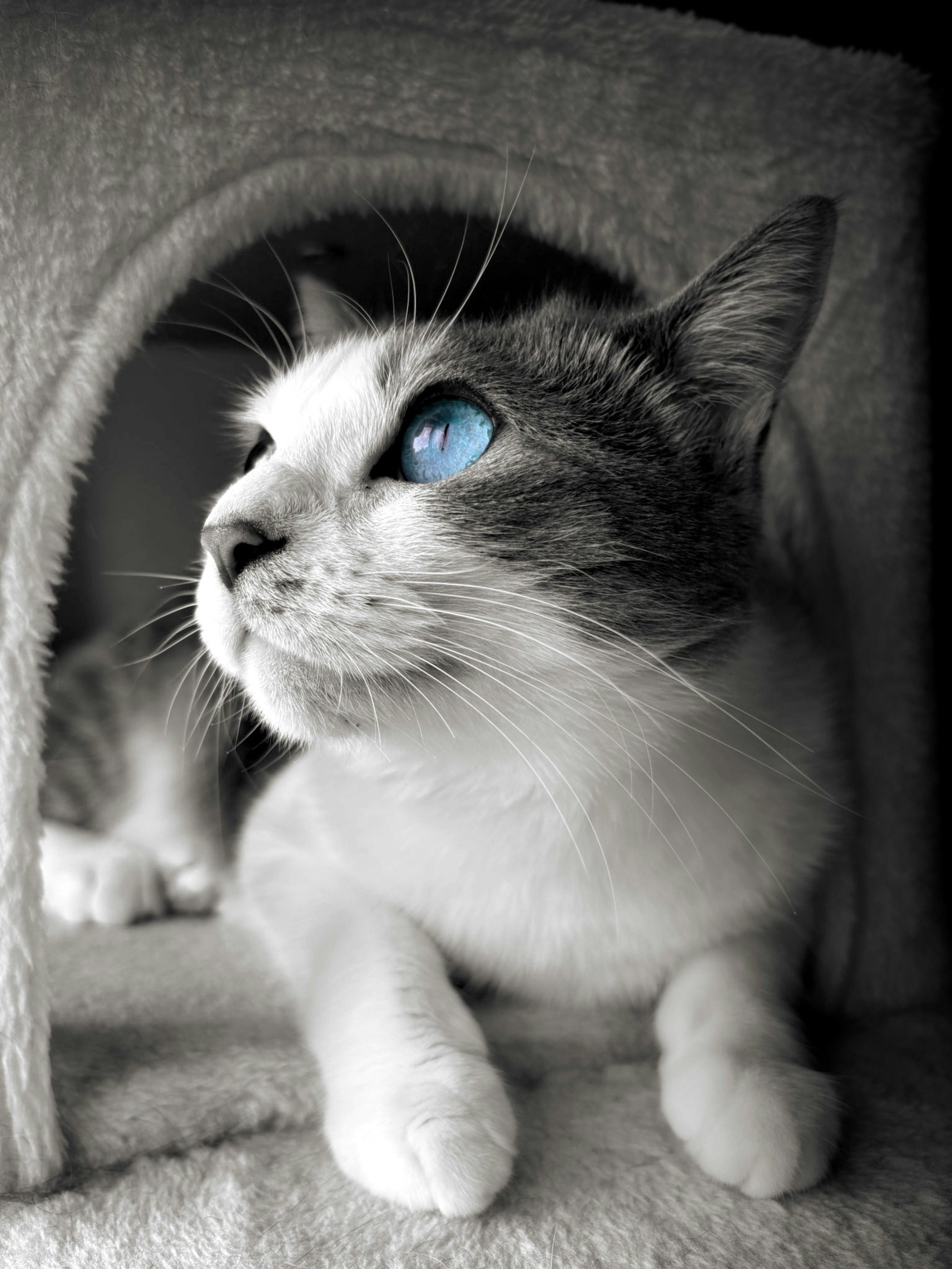 Raffael Gabel (@rgaconceptcat) | Unsplash Photo Community