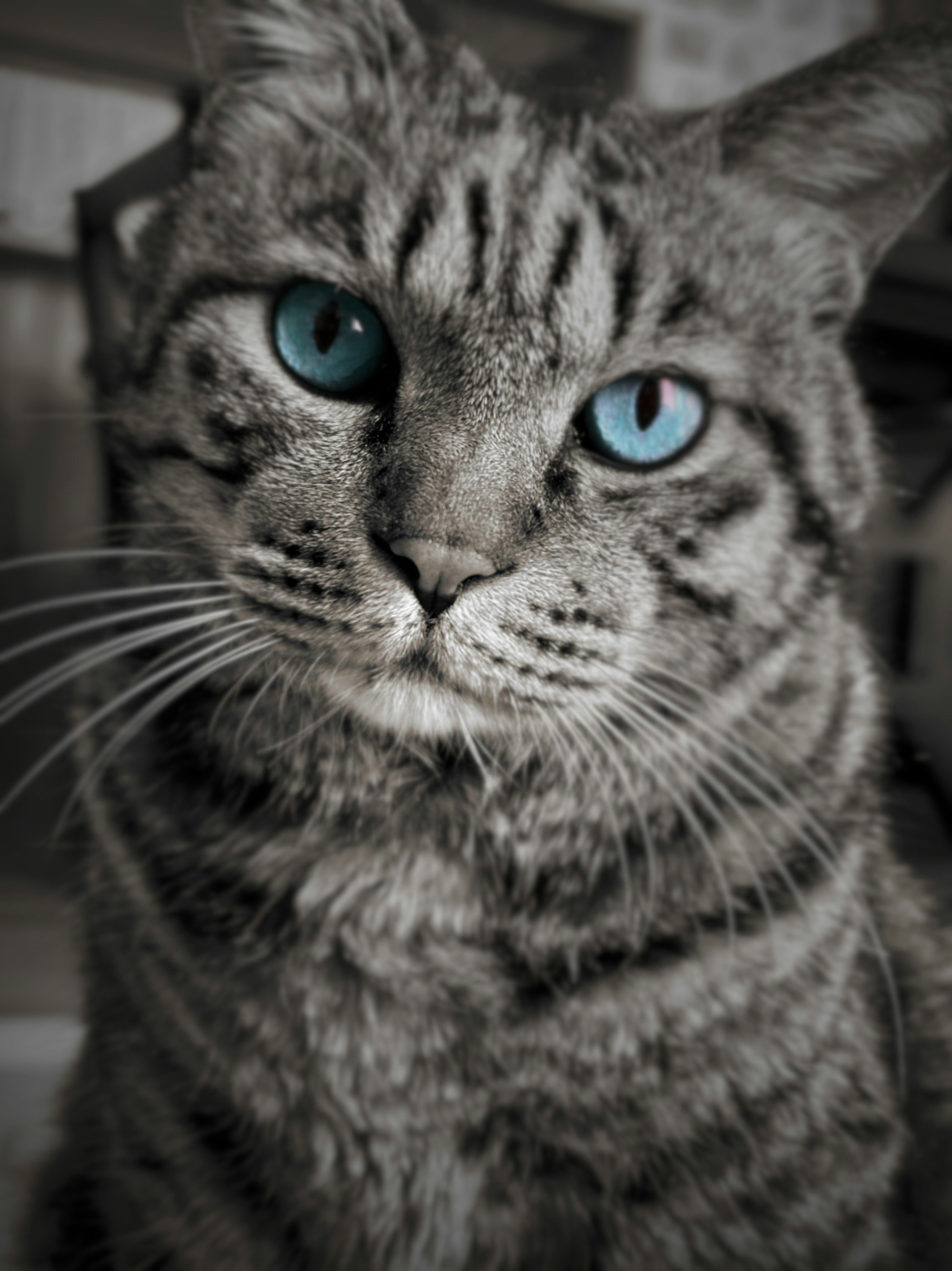 Raffael Gabel (@rgaconceptcat) | Unsplash Photo Community