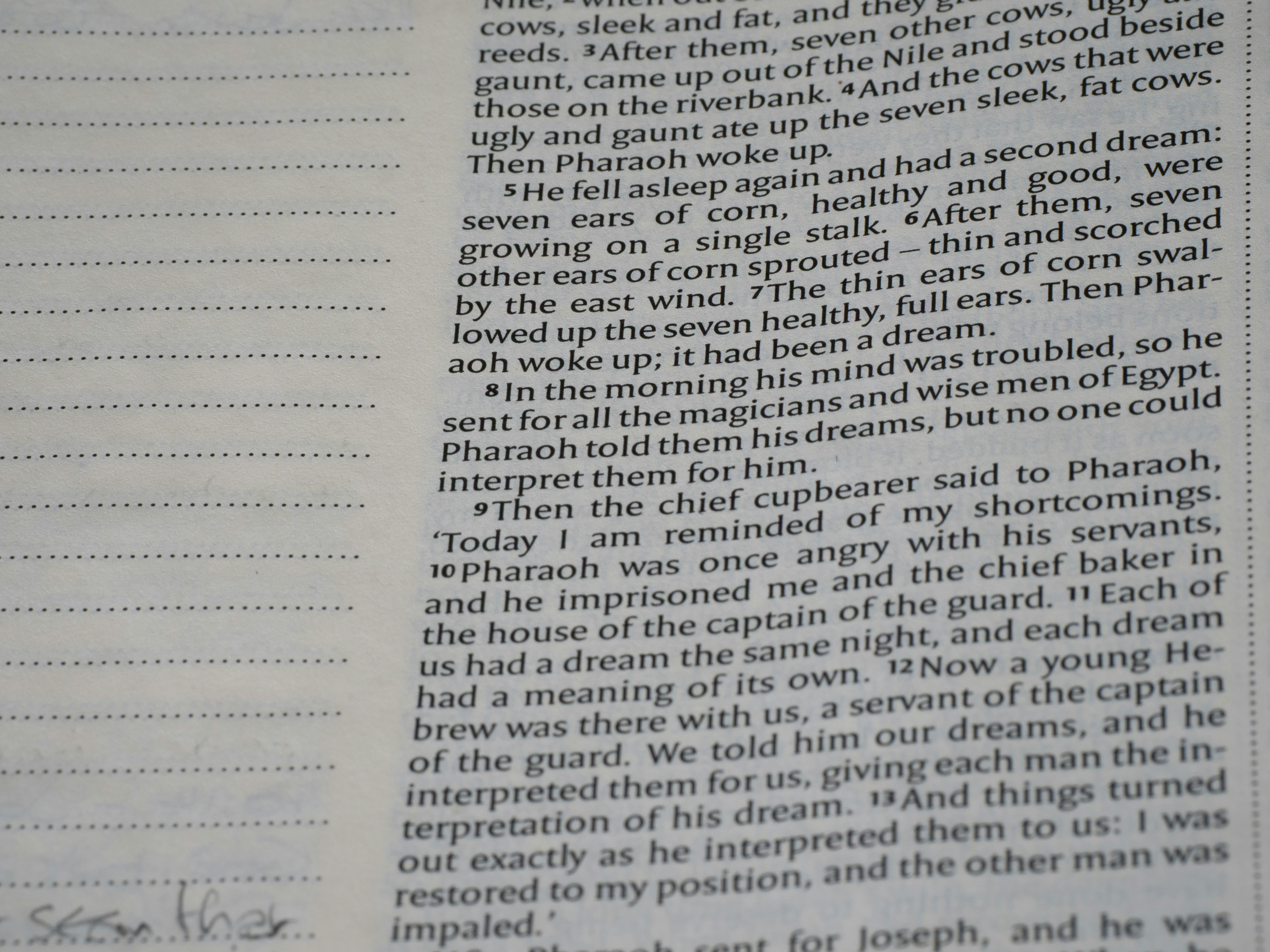 Whispered Lines: A Quiet Moment Amid Old Script