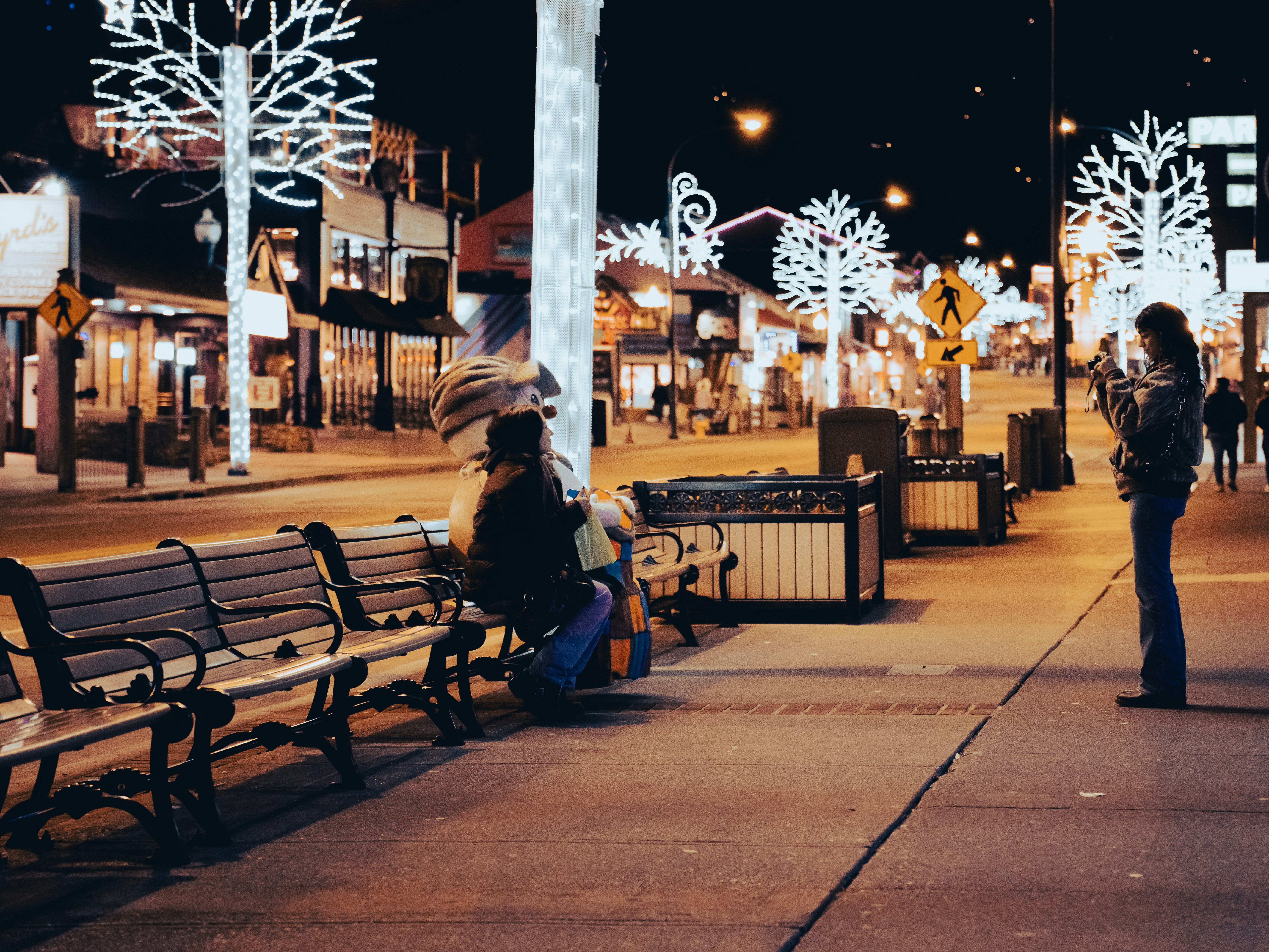 Quiet Night, Bright Trees: A Lone Photographer at the Festive Mirth