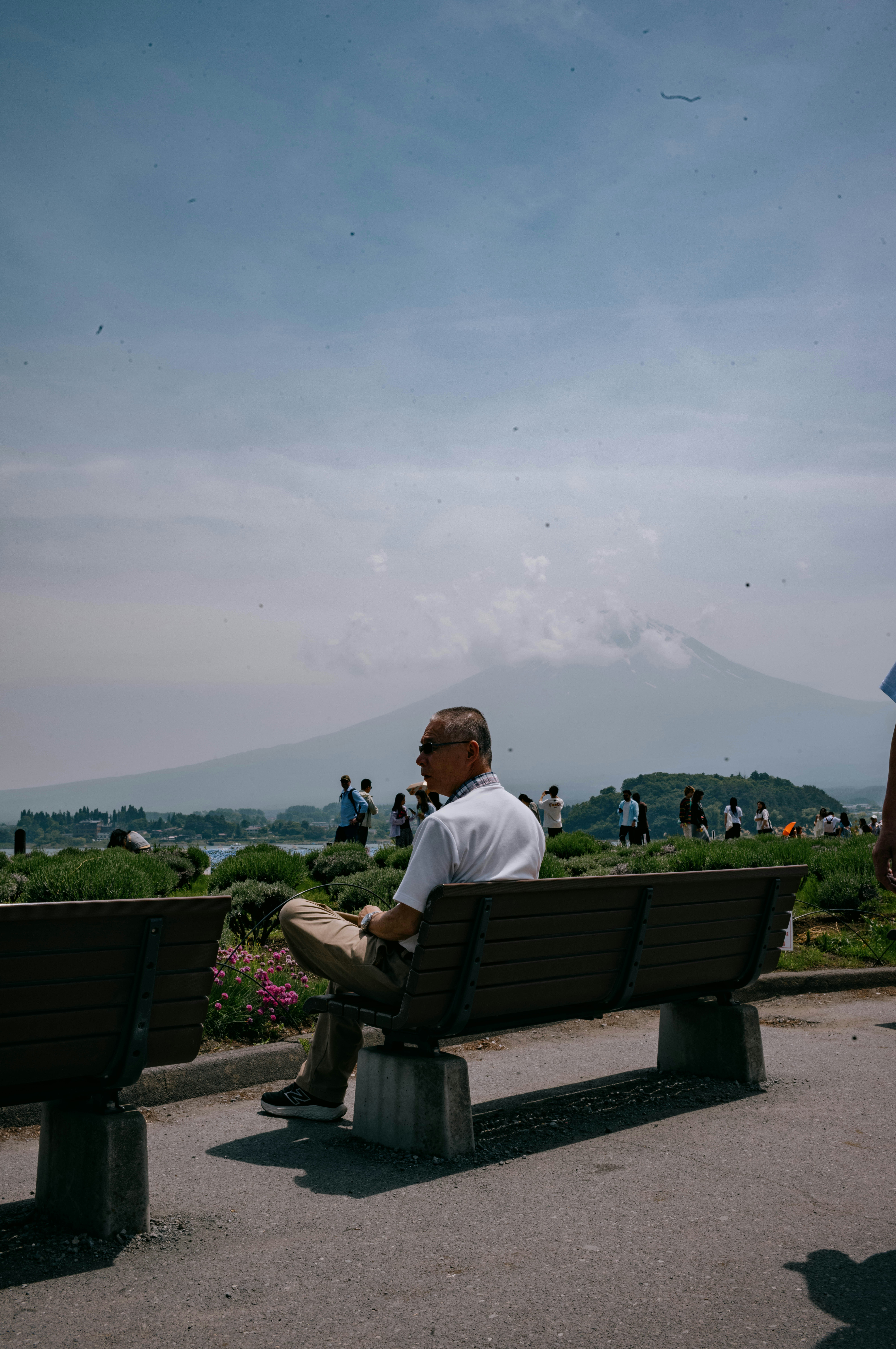 Benchside in View: A Man Gazing Toward Mount Fuji’s Mist