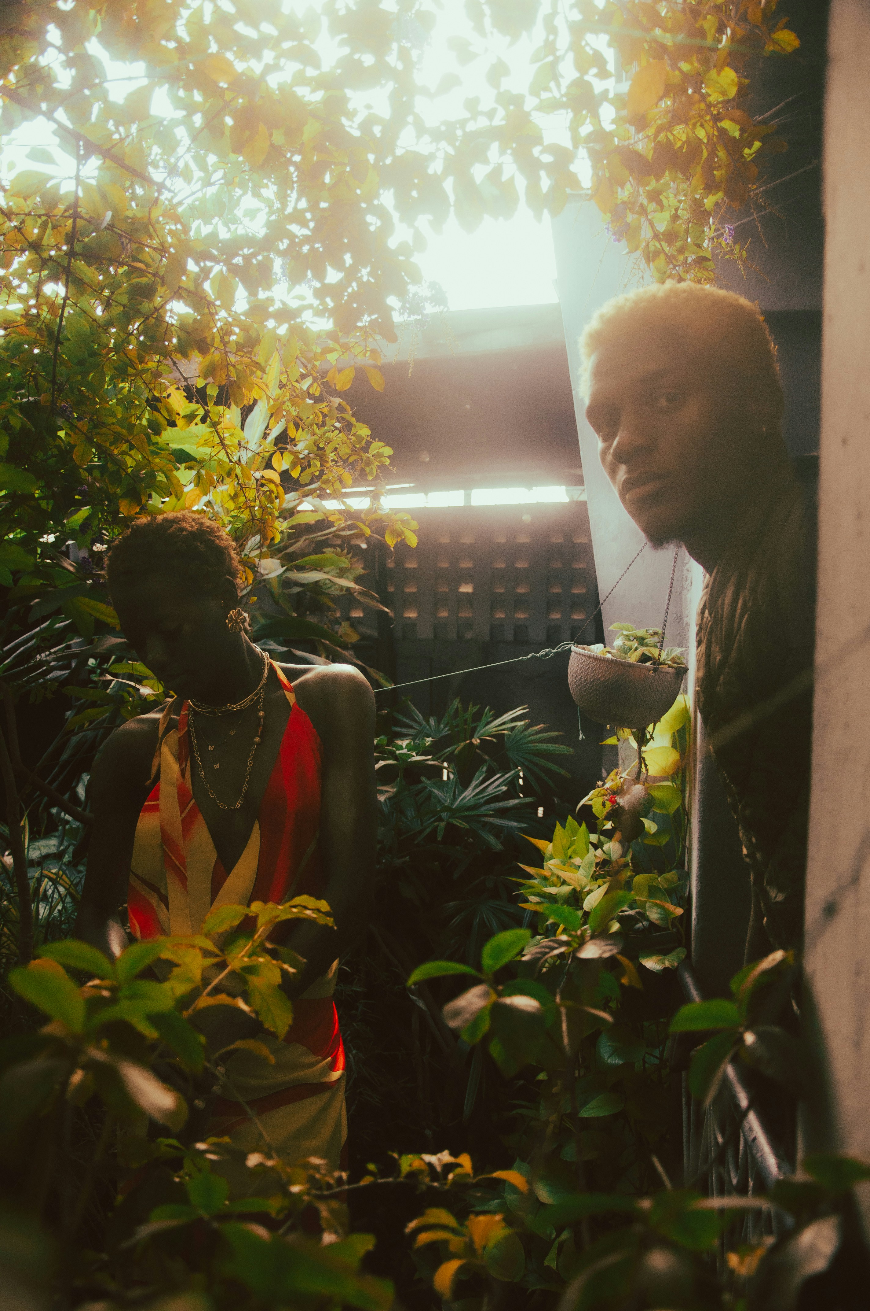Sunlit Quiet: A Portrait in the Overgrown Courtyard