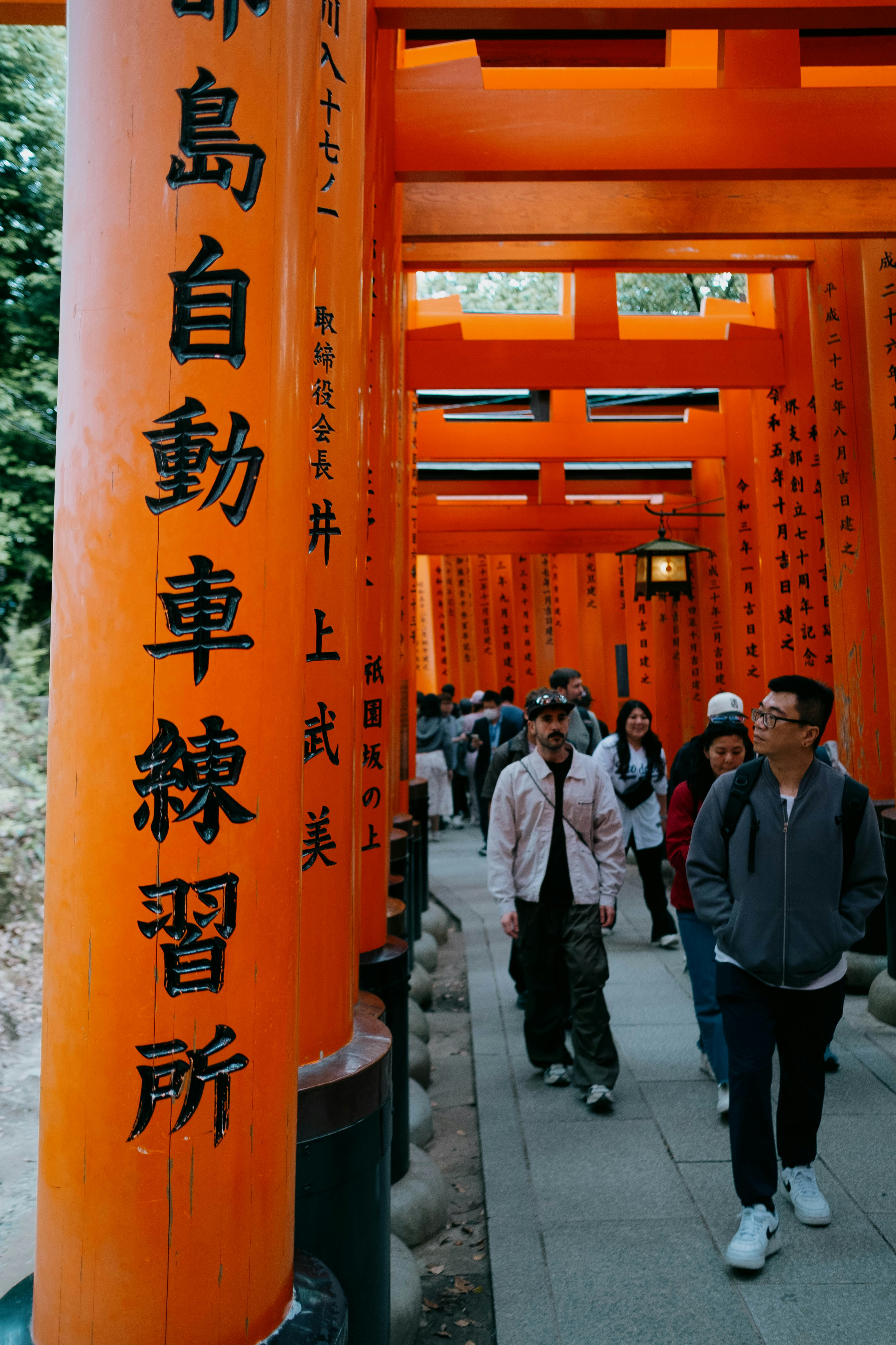 Vivid Corridor of Sake-Red Lanterns: People Walk Through a Shrine Lane