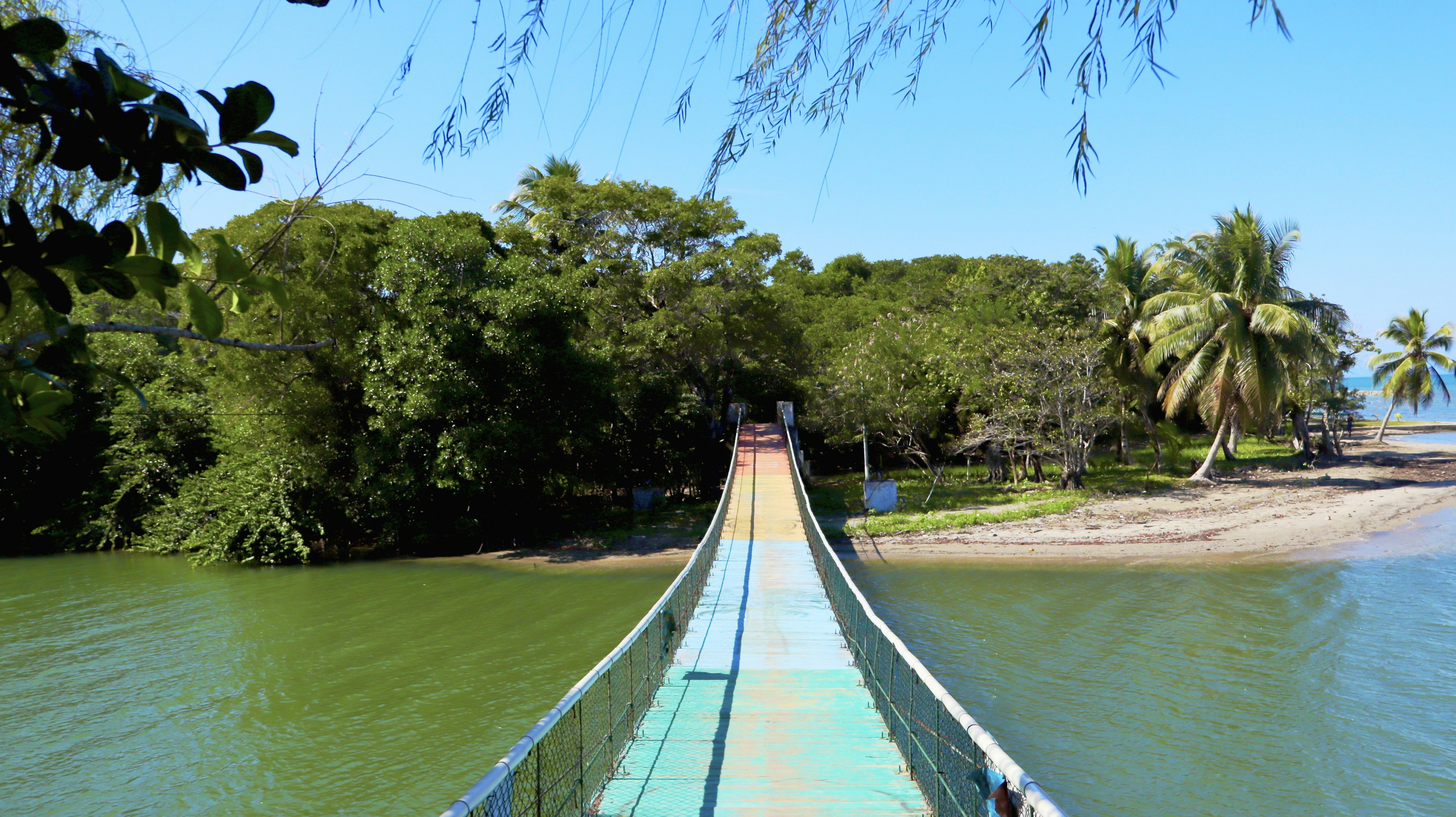 Bridge to the Lagoon: a tropical descent into green stillness