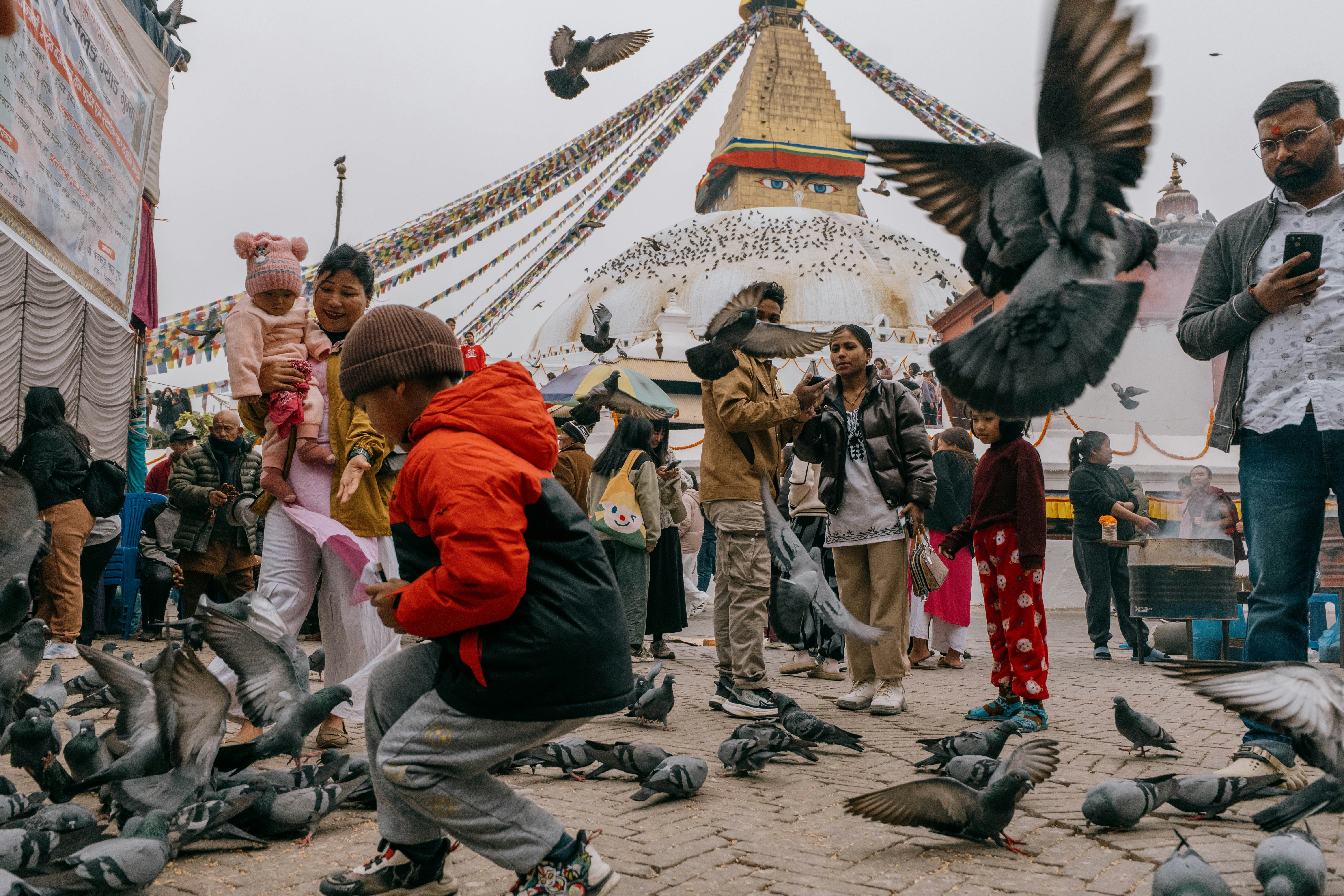Feathers and Fervor: Doves in the Temple Square