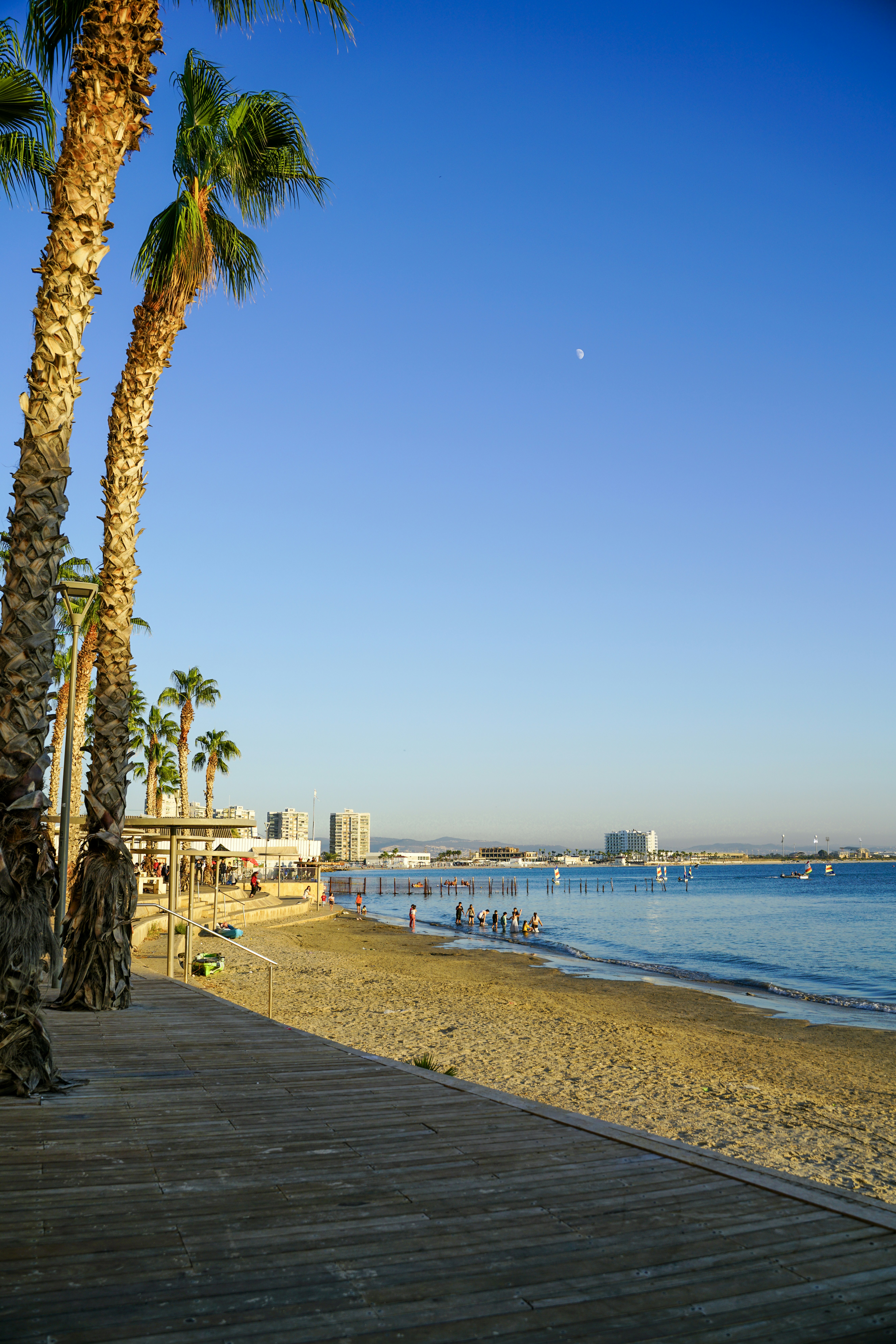 Palm Shade and Sea Breeze along a Sunny Boardwalk