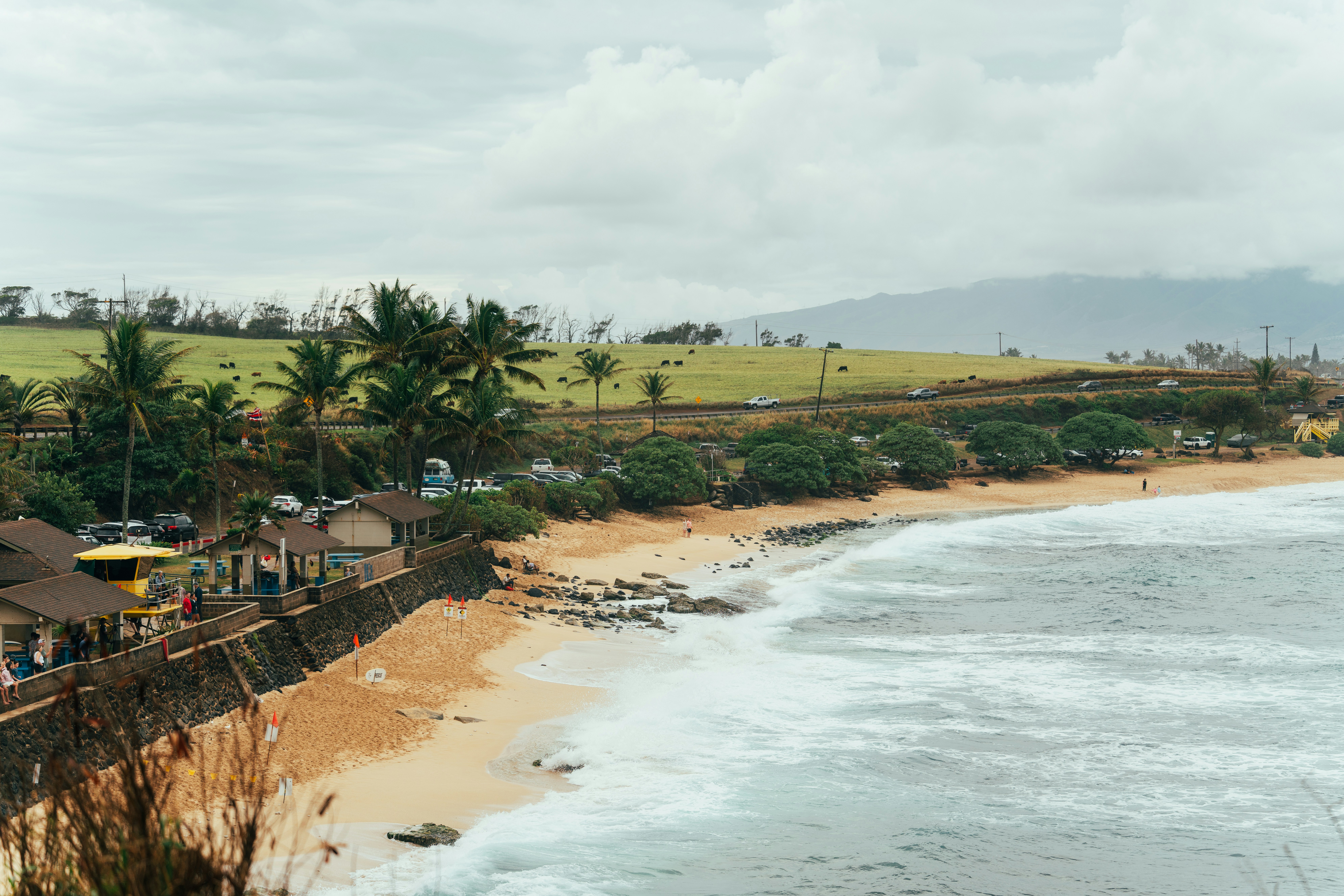 Sunlit shoreline with palm-lined promenade and gentle surf