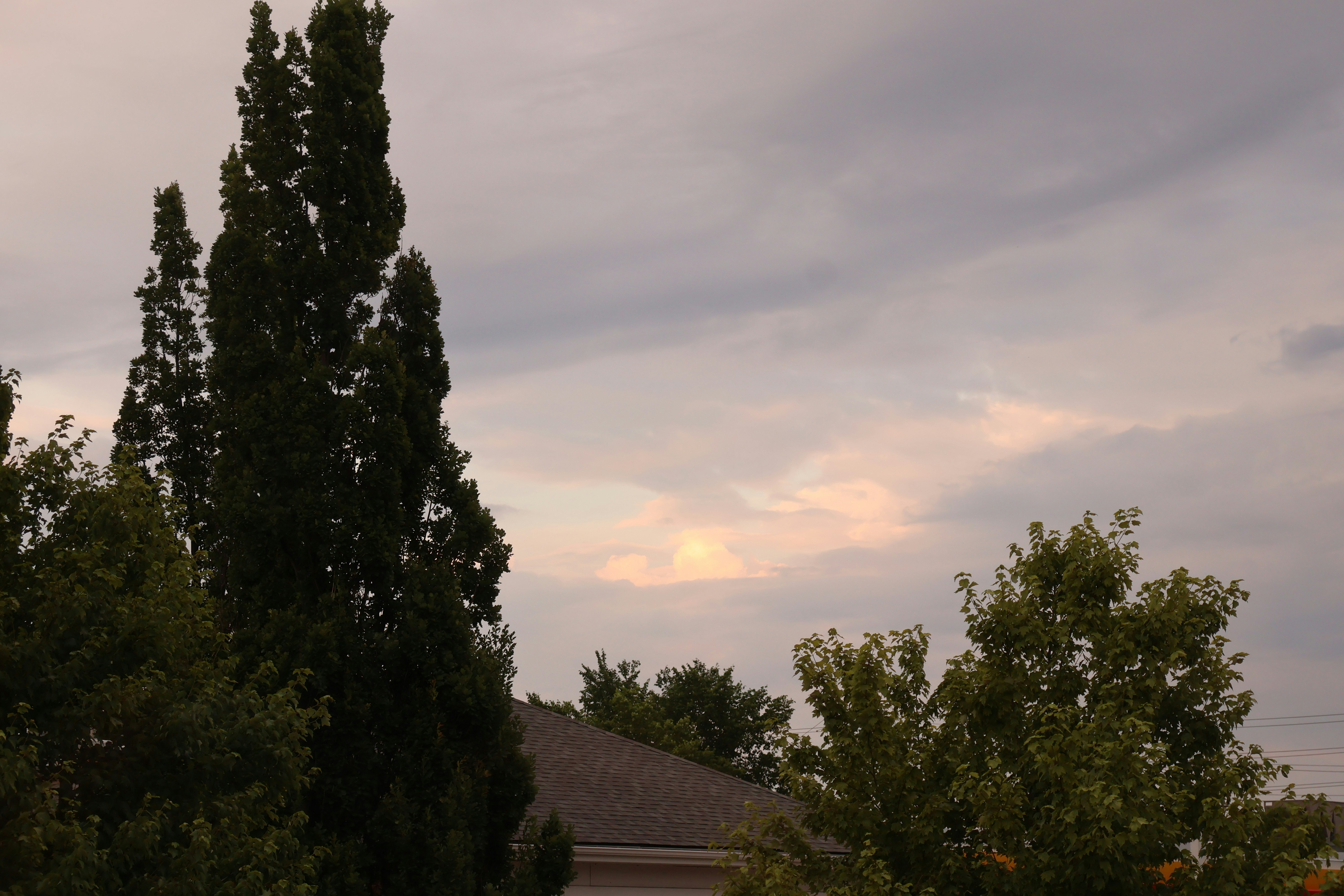 Toward a Quiet Sunset: Trees, Roofline, and Subtle Sky