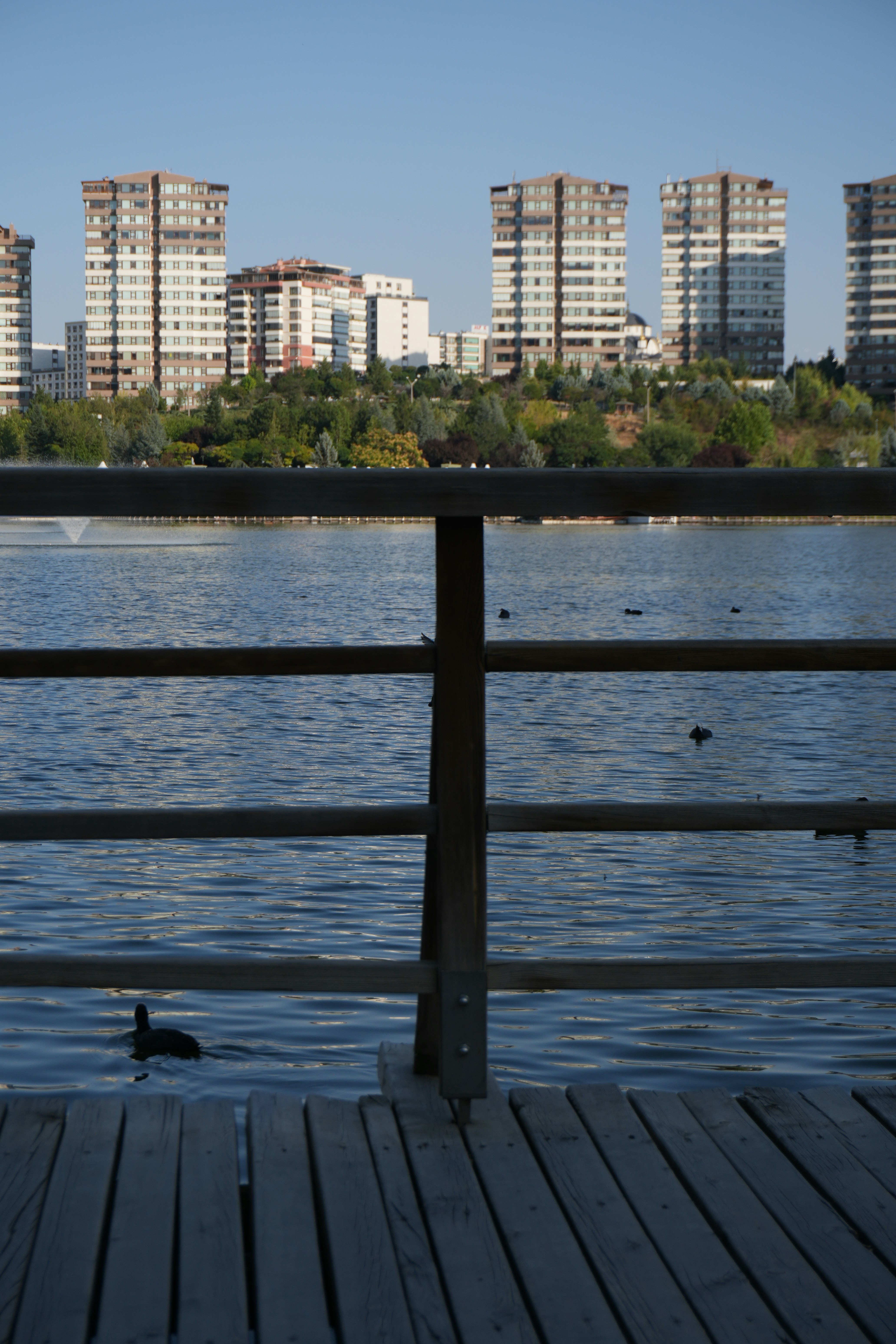 Riverside Skyline Framed by a Pier