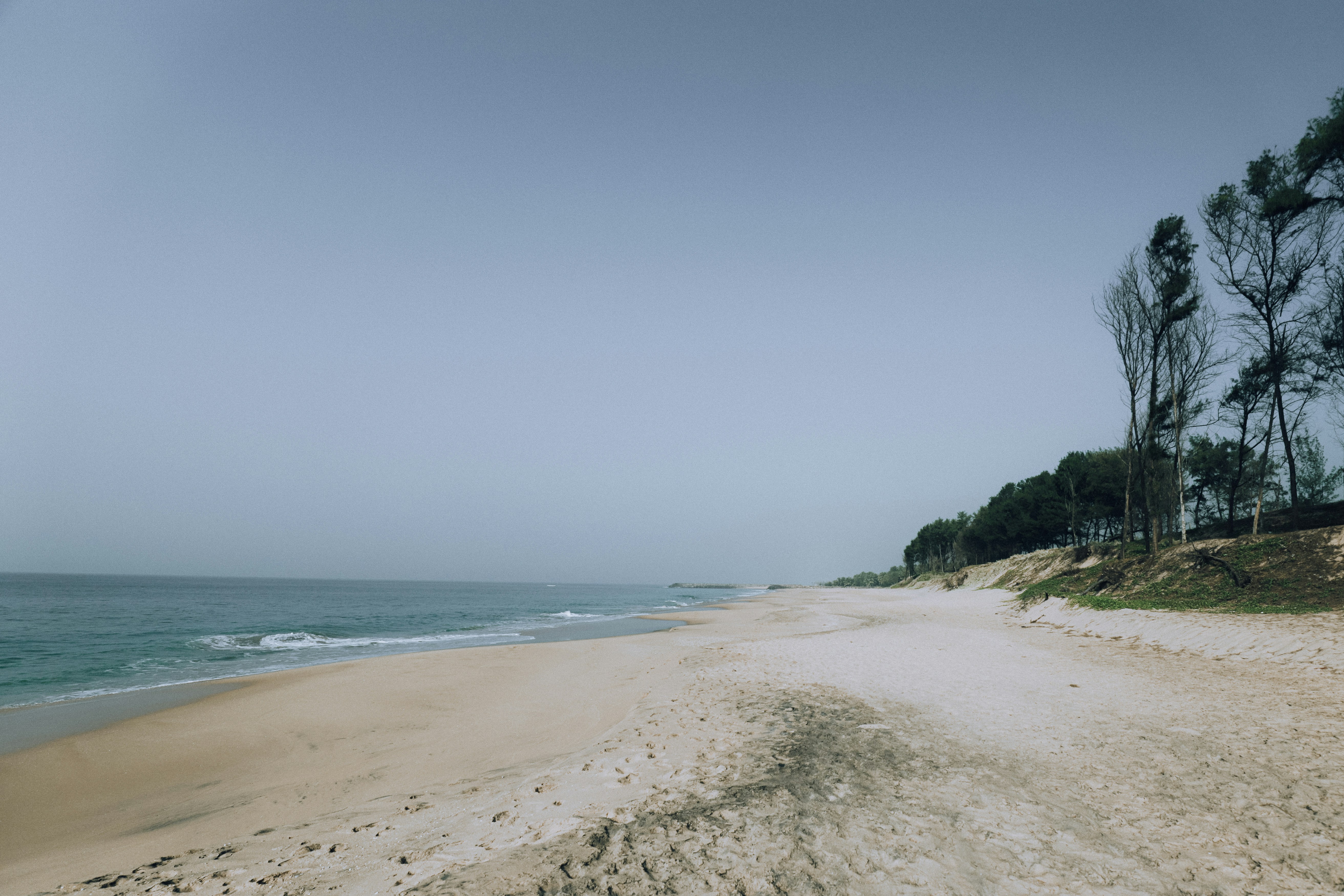Coastal Silence: A Quiet Beach Extends to Tree-Lined Dunes
