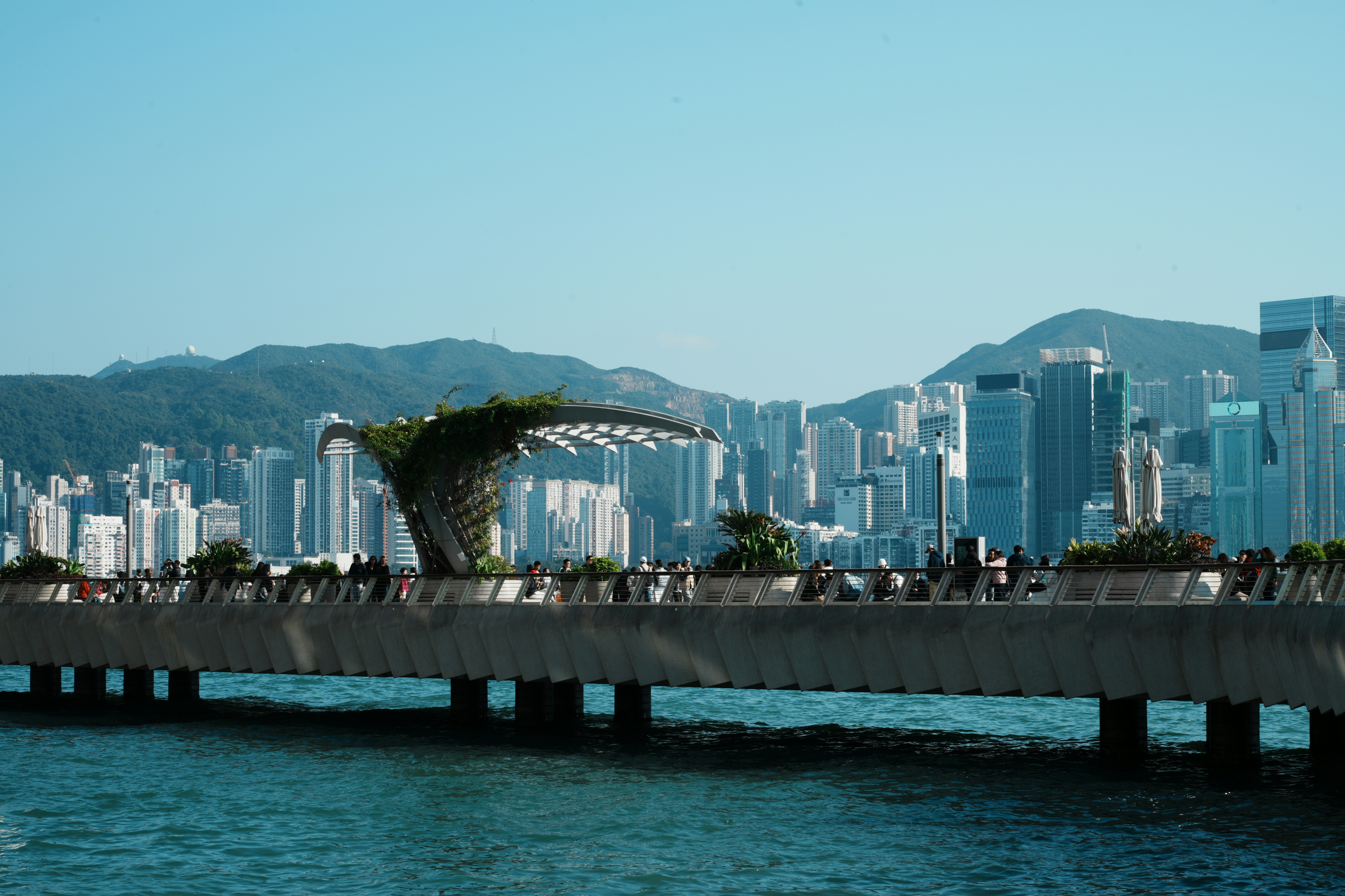 Urban Pier Overlook: Sea of Skyscrapers Beyond the Planked Promenade