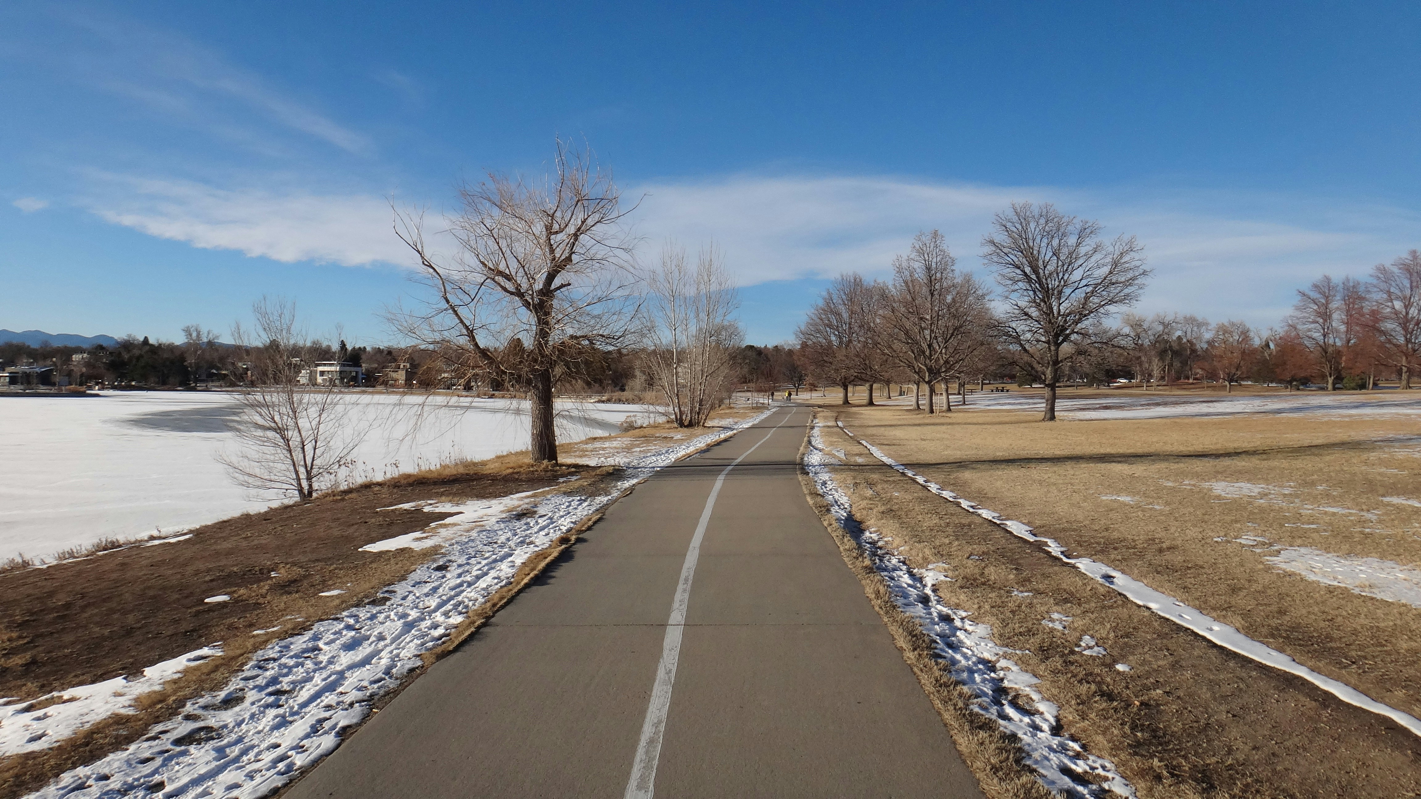 A paved path through a park in winter