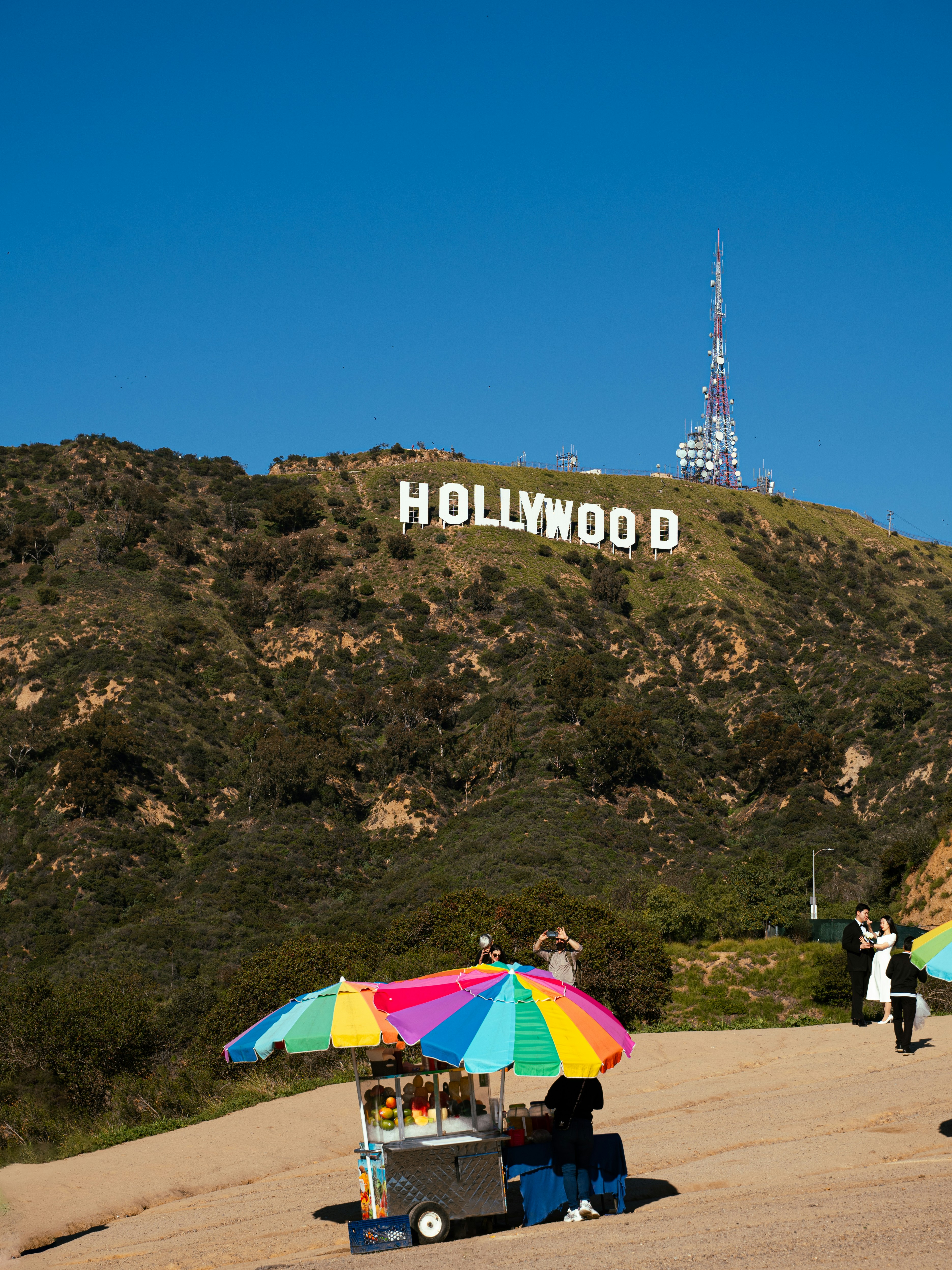 Hollywood Crest: The Icon Watching Over Charred Sand and Colorful Umbrellas