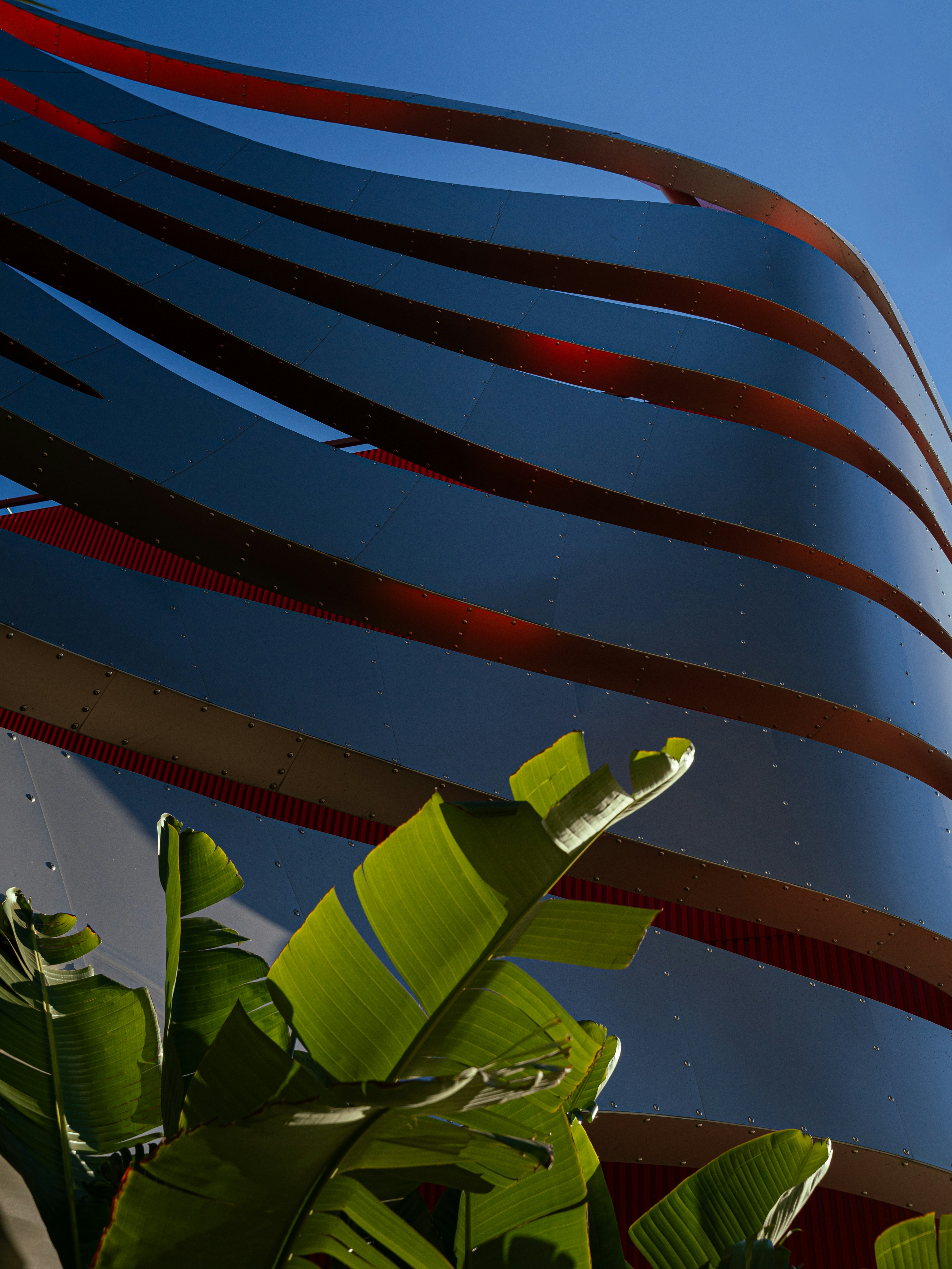 Chromatic Strata: Red Ribbons over Metallic Curves with Banana Leaves