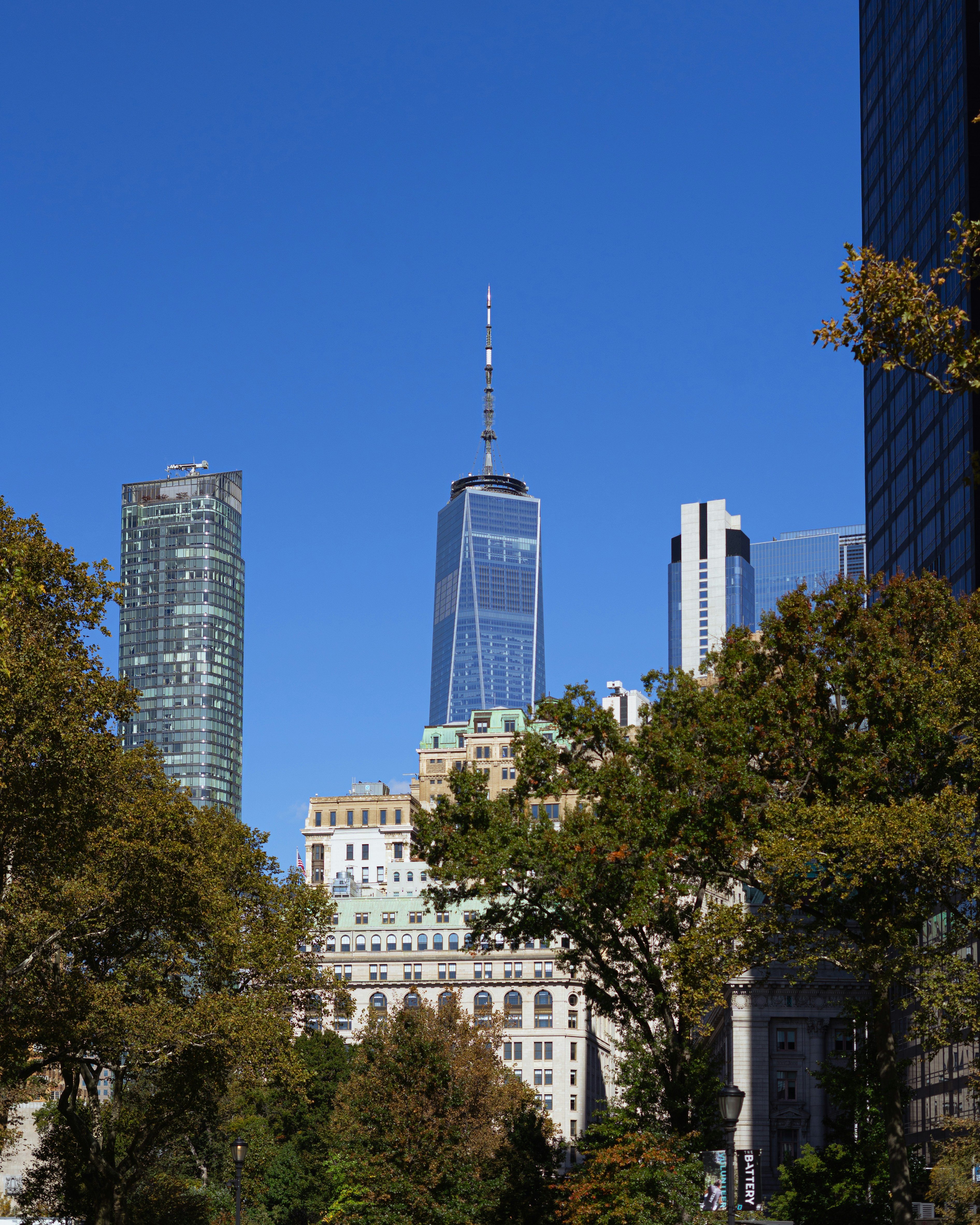 Skyline Crown: One World Tower Rising Above the Canopy